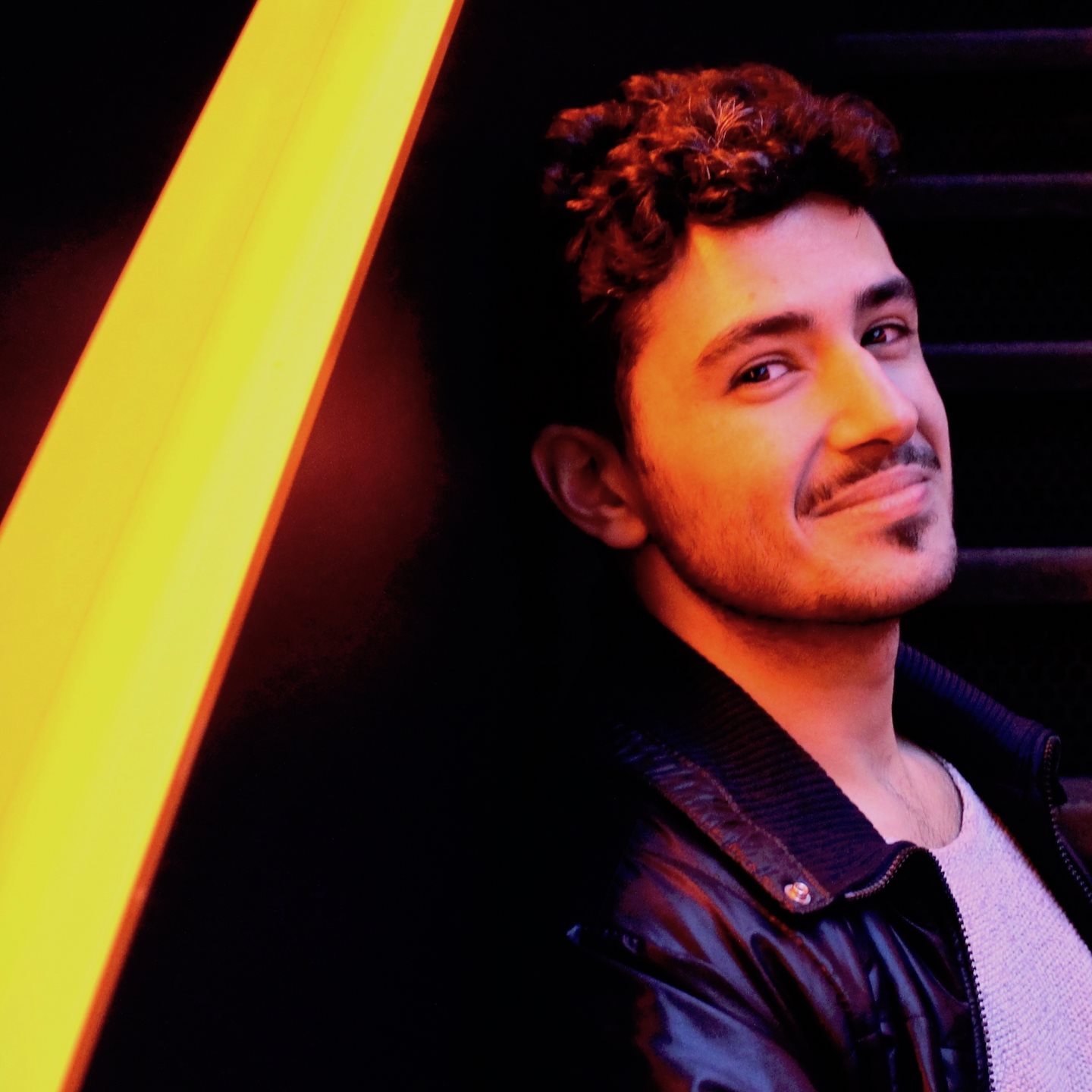 Professional Gigolo · Artist Profile
