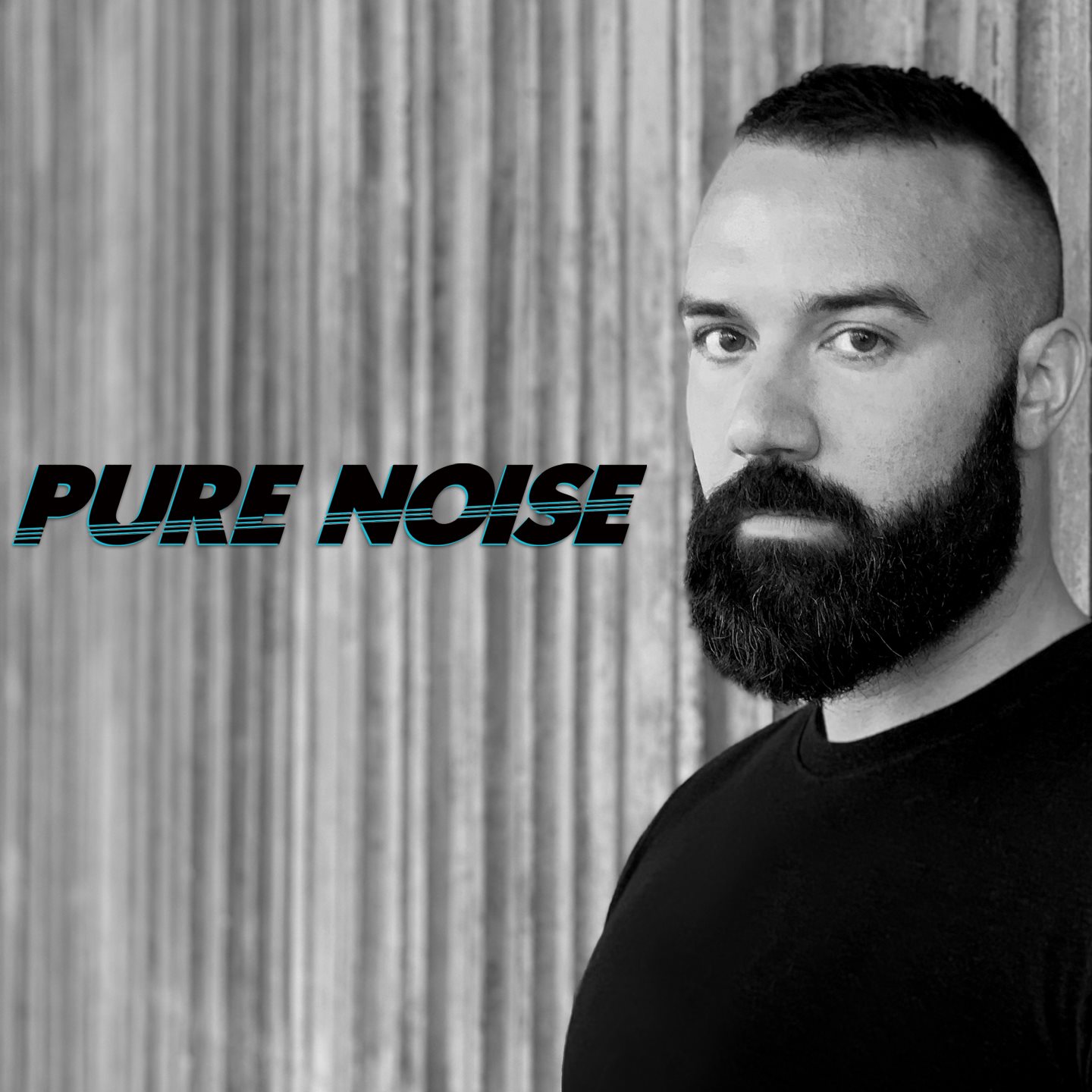 Pure Noise · Artiestenprofiel