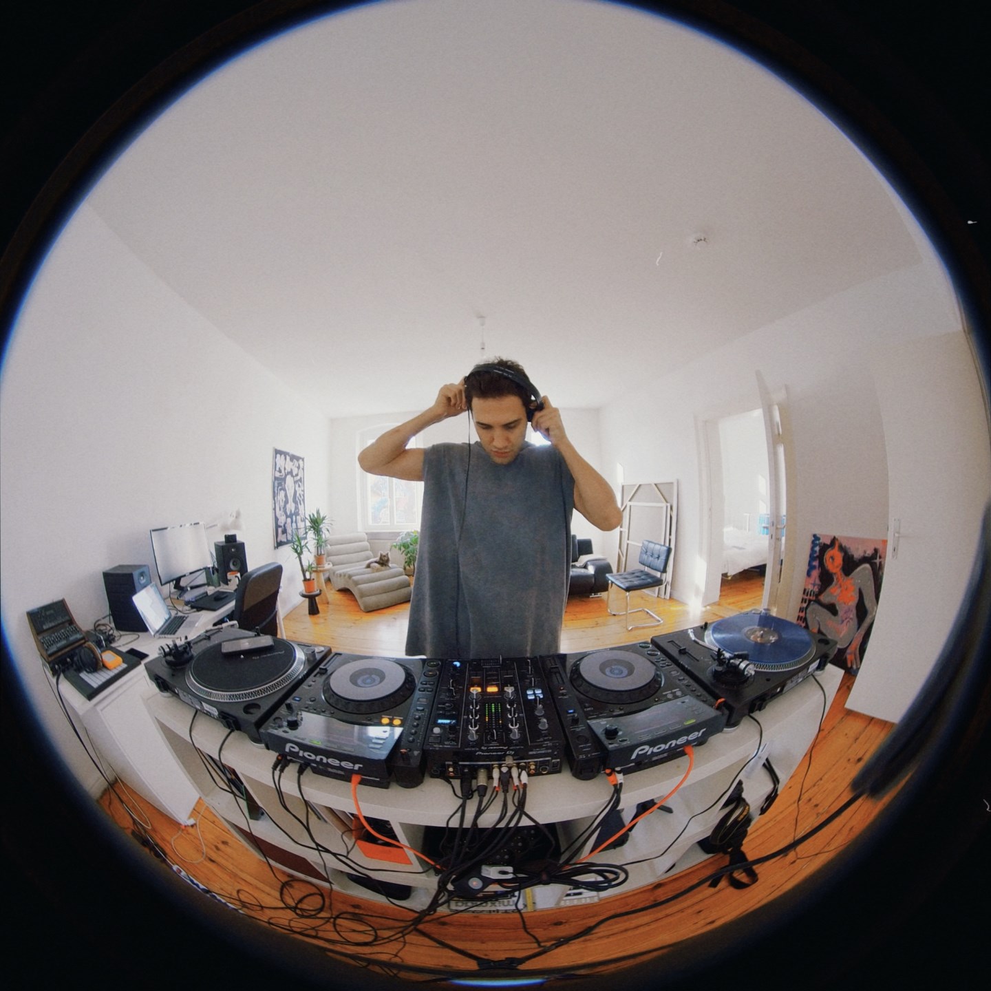 Purple Phase · Artist Profile