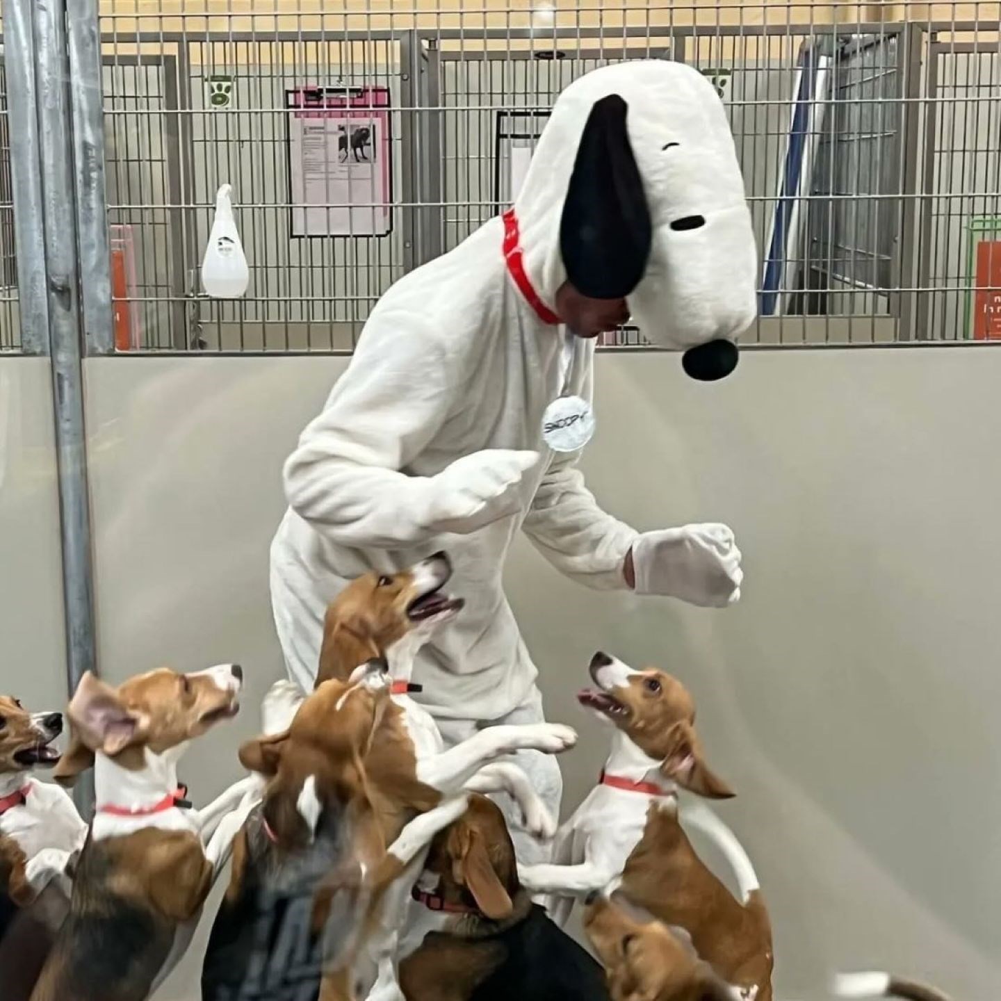 QUIBBIE · Artist Profile