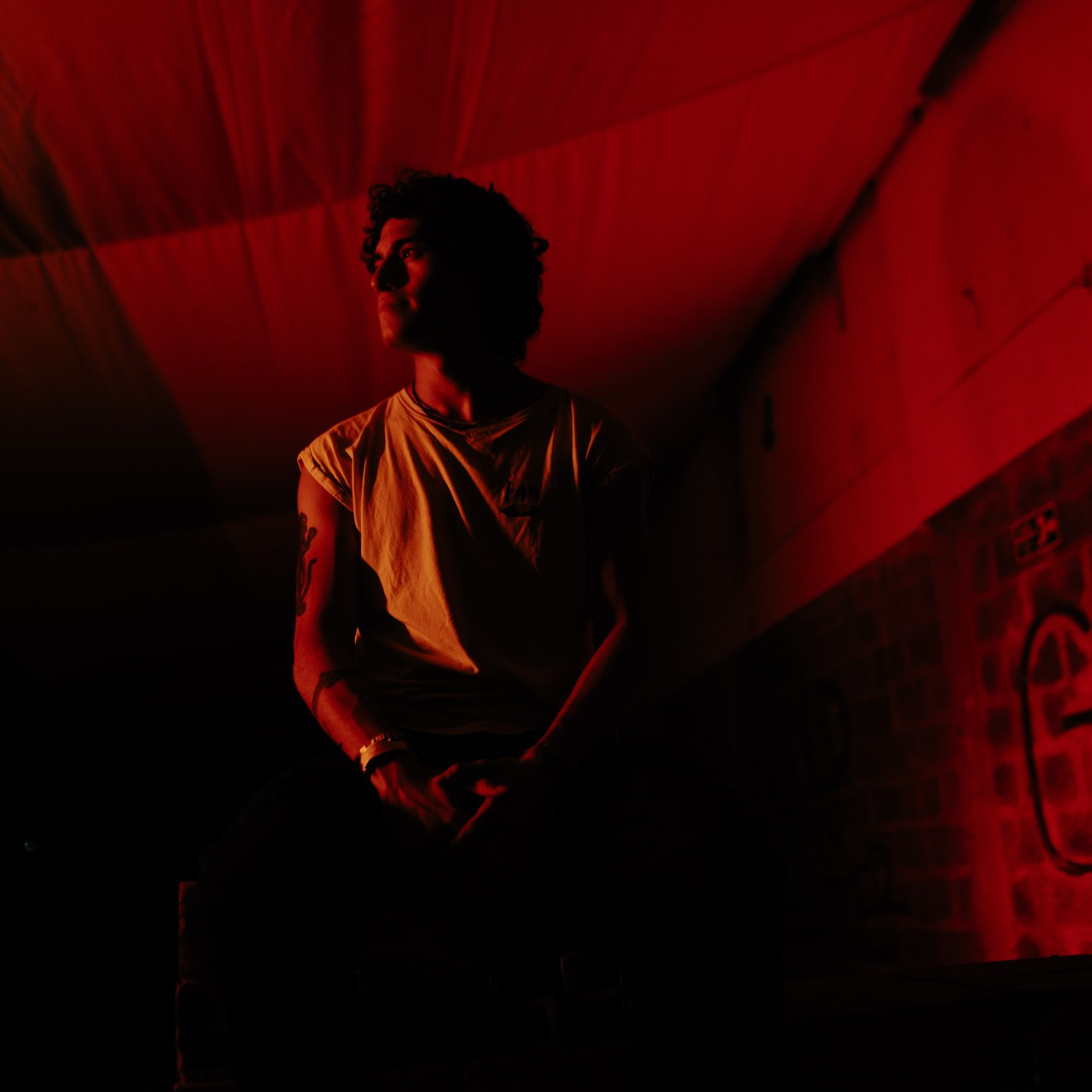 QV (1) · Artist Profile