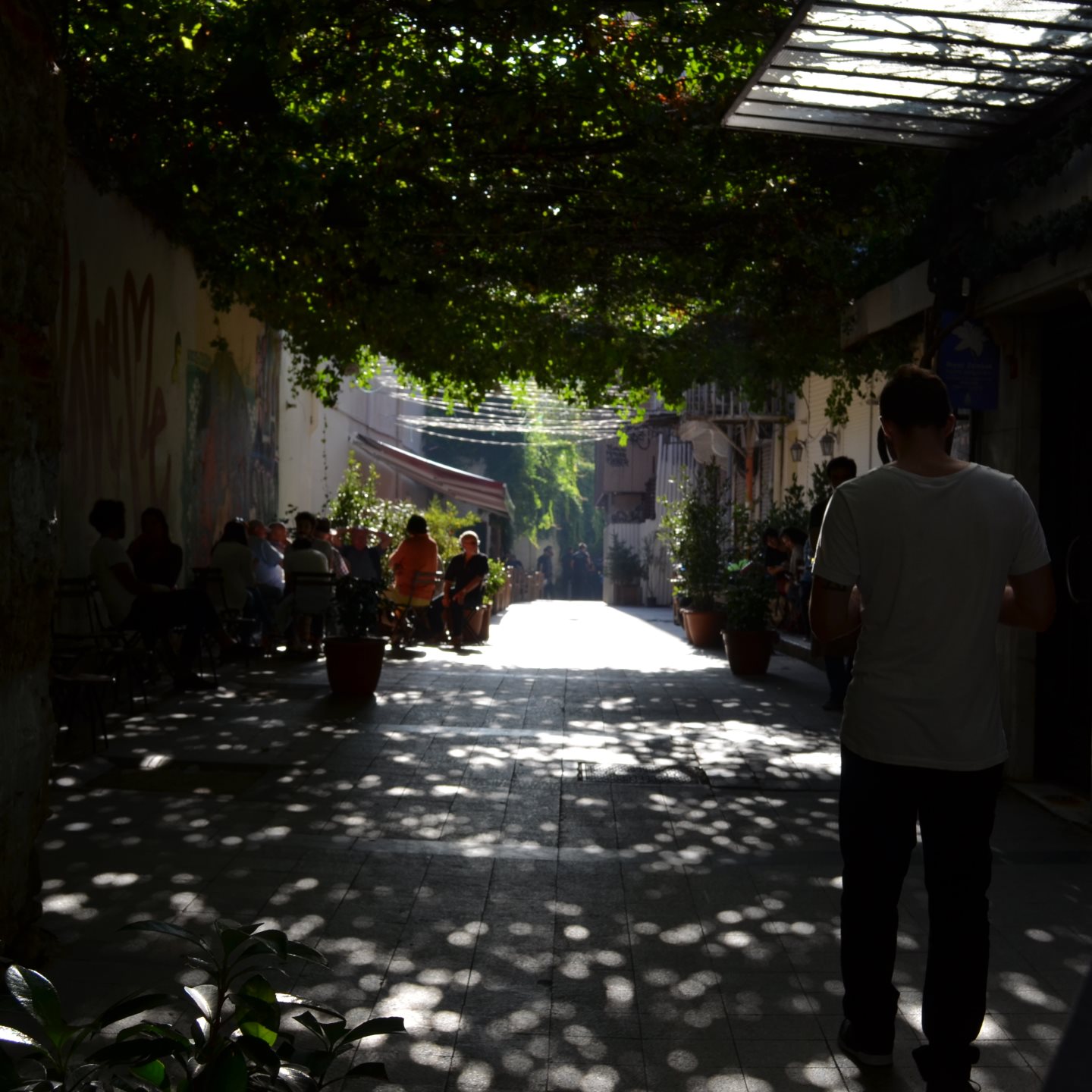 Rad Bear · Artist Profile