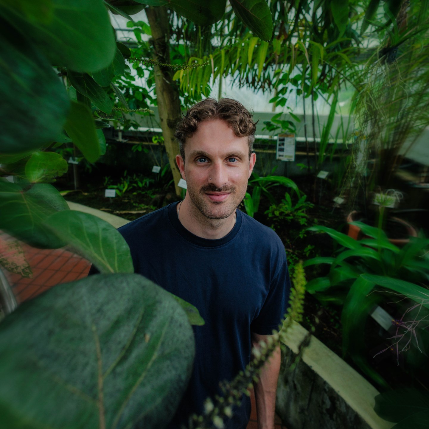 RARRI · Artist Profile