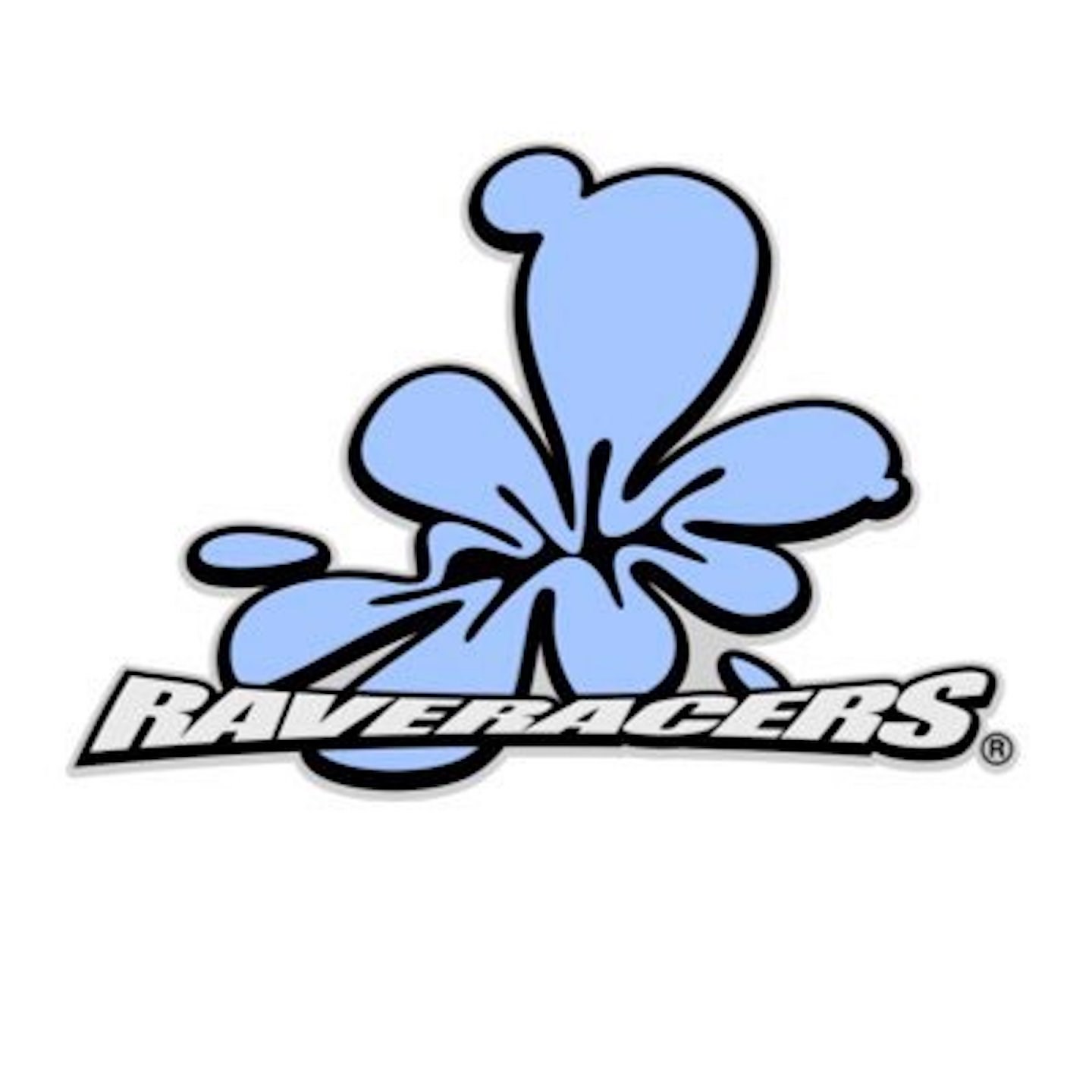 Rave Racers · Artist Profile