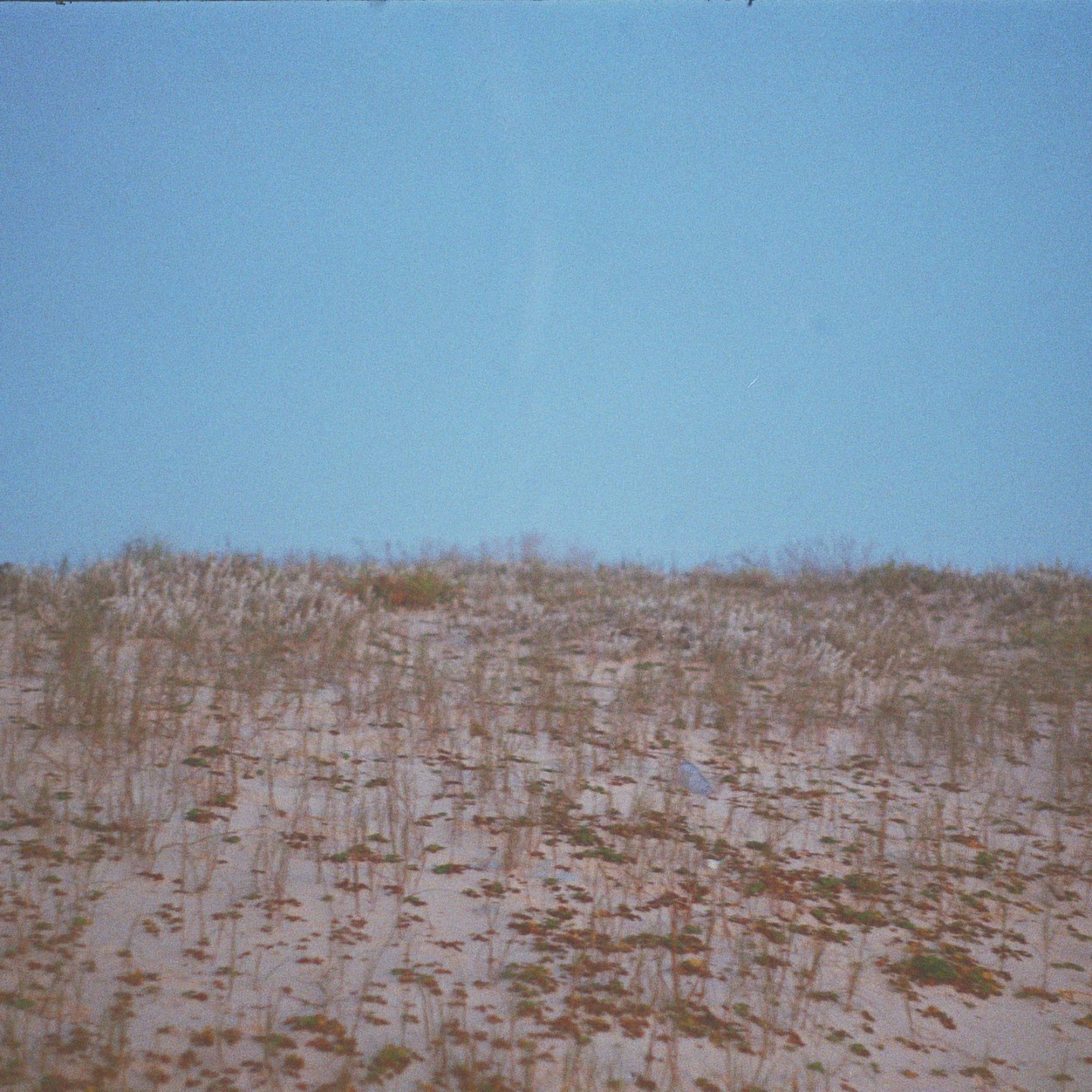 rea* · Artist Profile