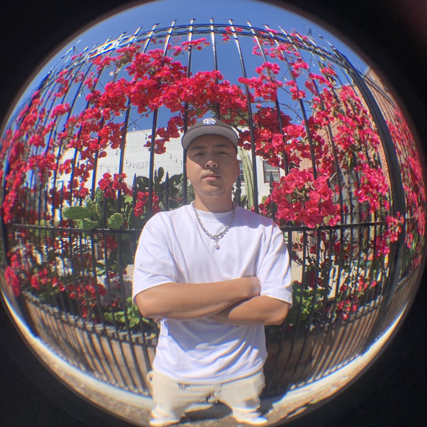 REAUX · Artist Profile