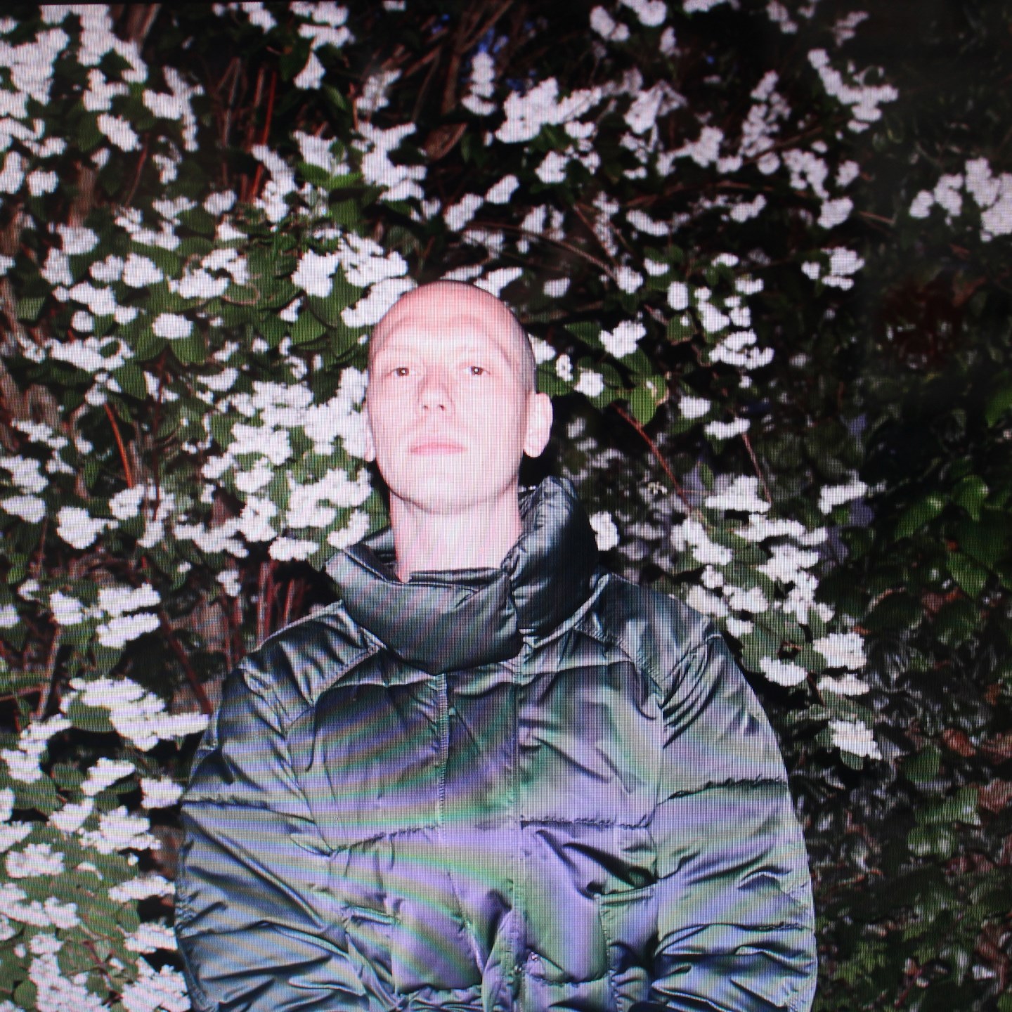 Robin Stewart · Artist Profile