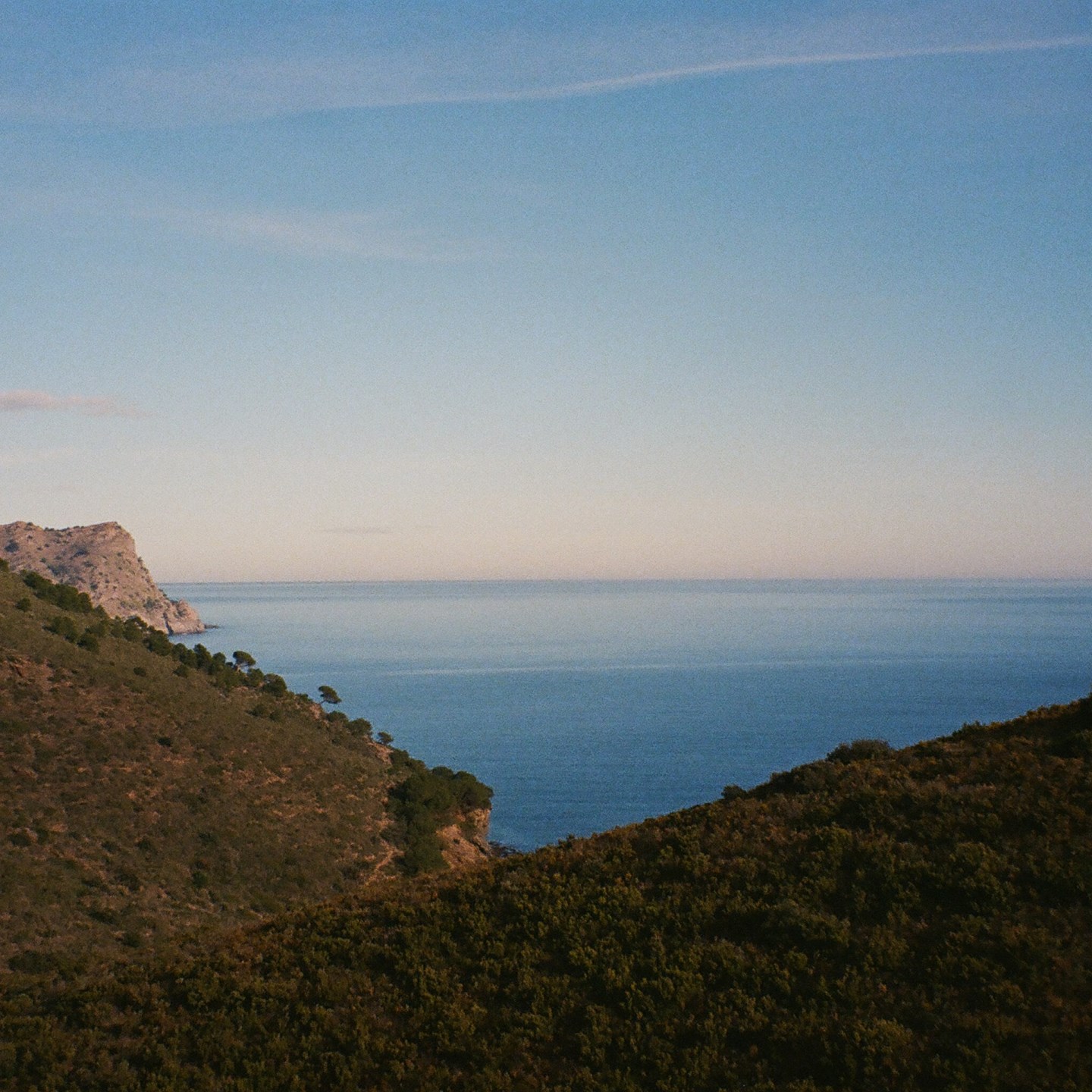 Roehrich · Artist Profile