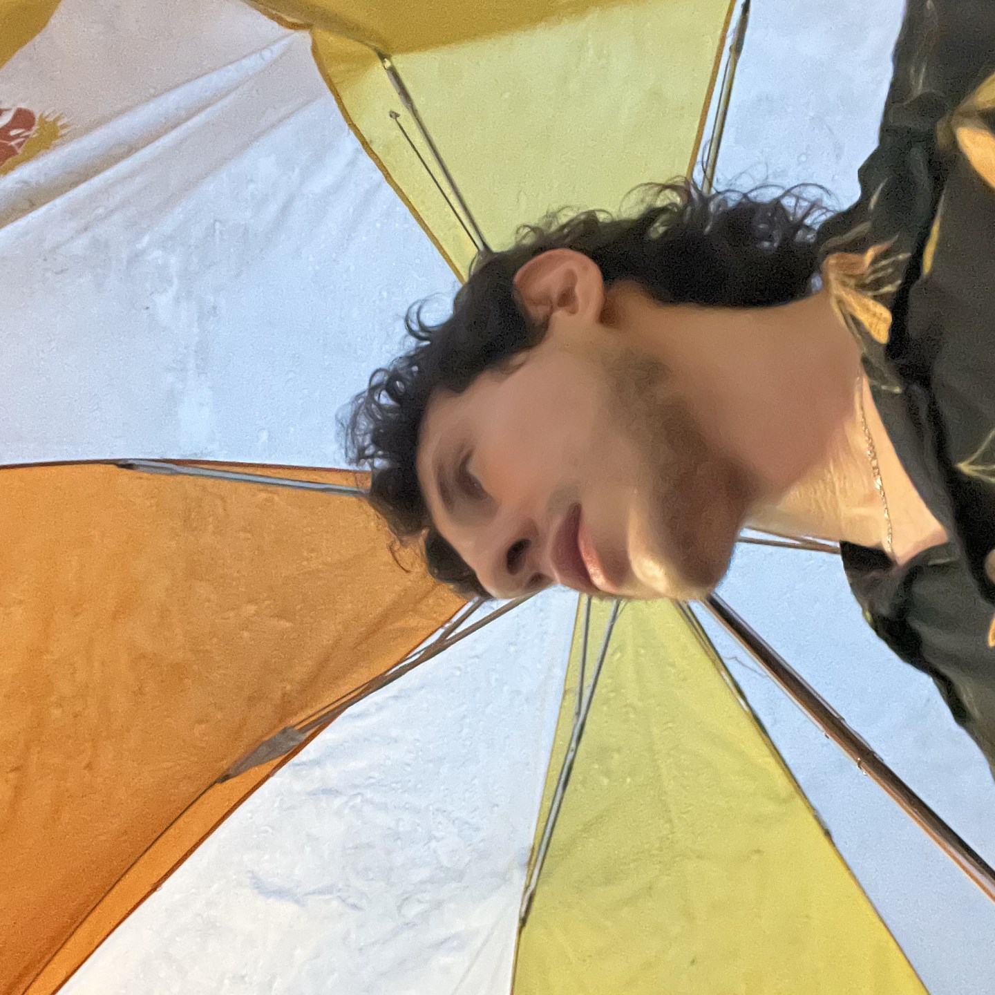 Ross Kelly (2) · Artist Profile