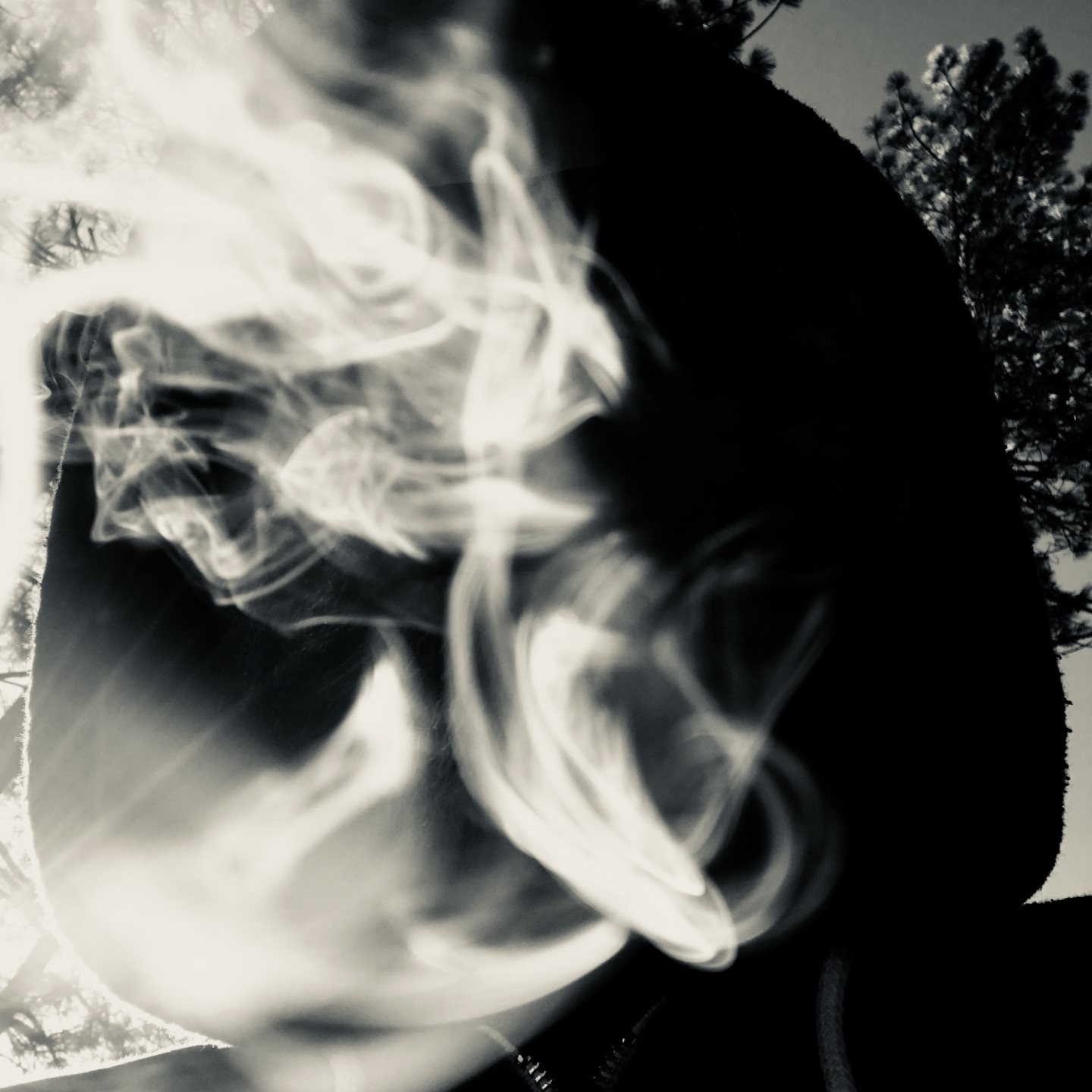 Sadowsky · Artist Profile