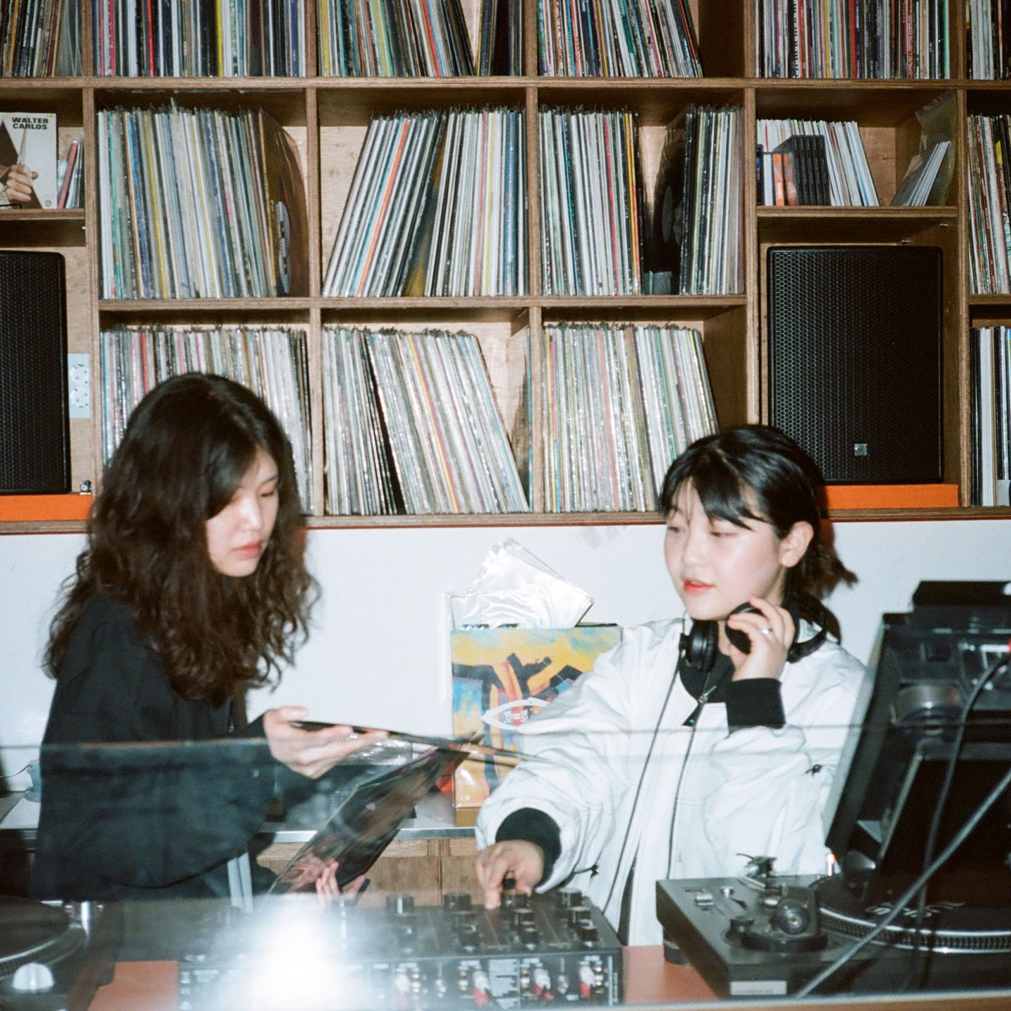 Salamanda · Artist Profile