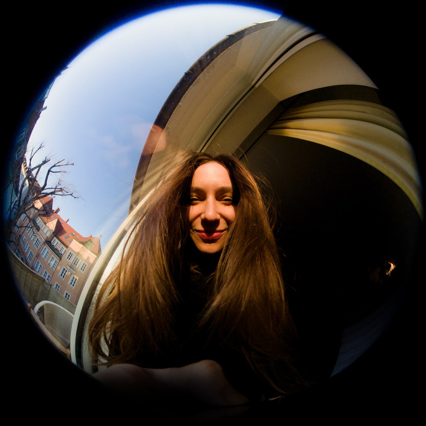 Sarmabot · Artist Profile