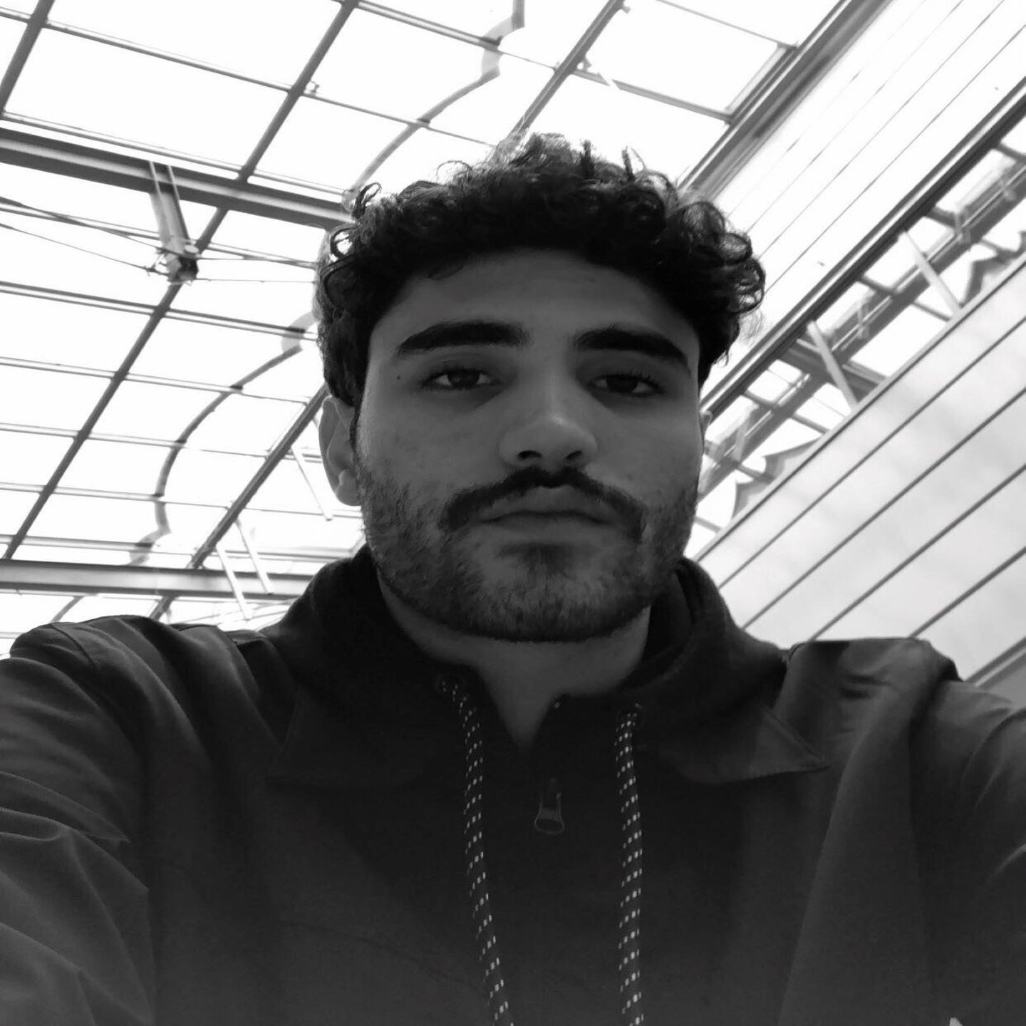 Sarv · Artist Profile