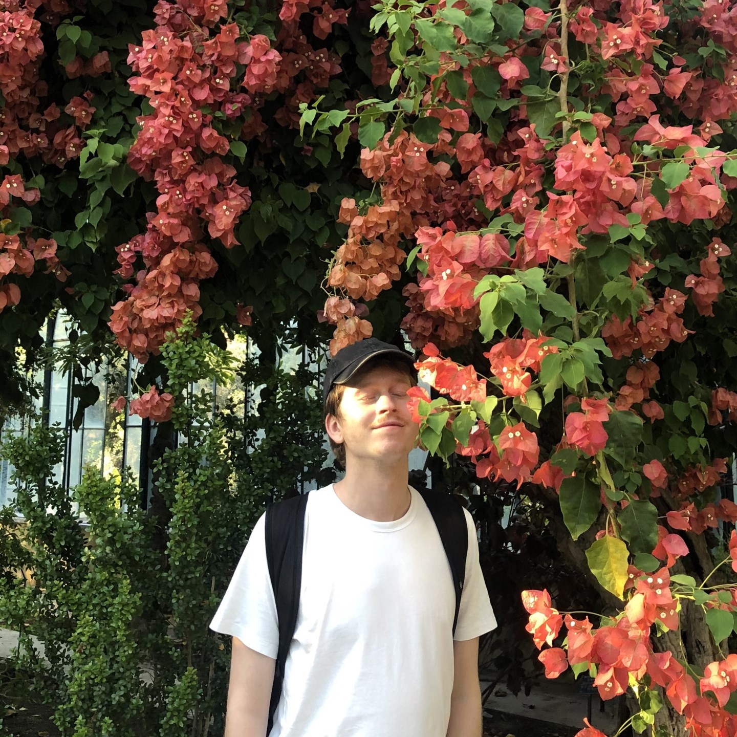 SBRD · Artist Profile