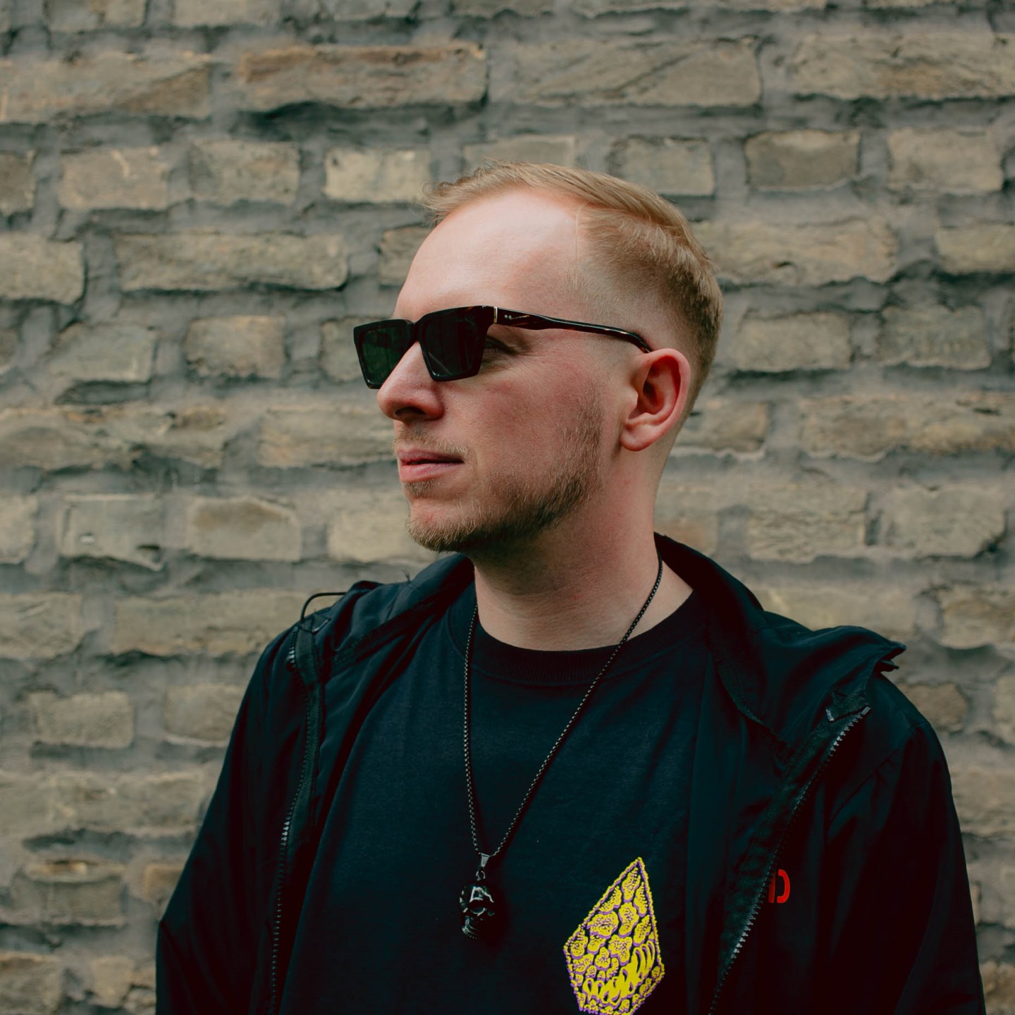 Seedreak · Artist Profile