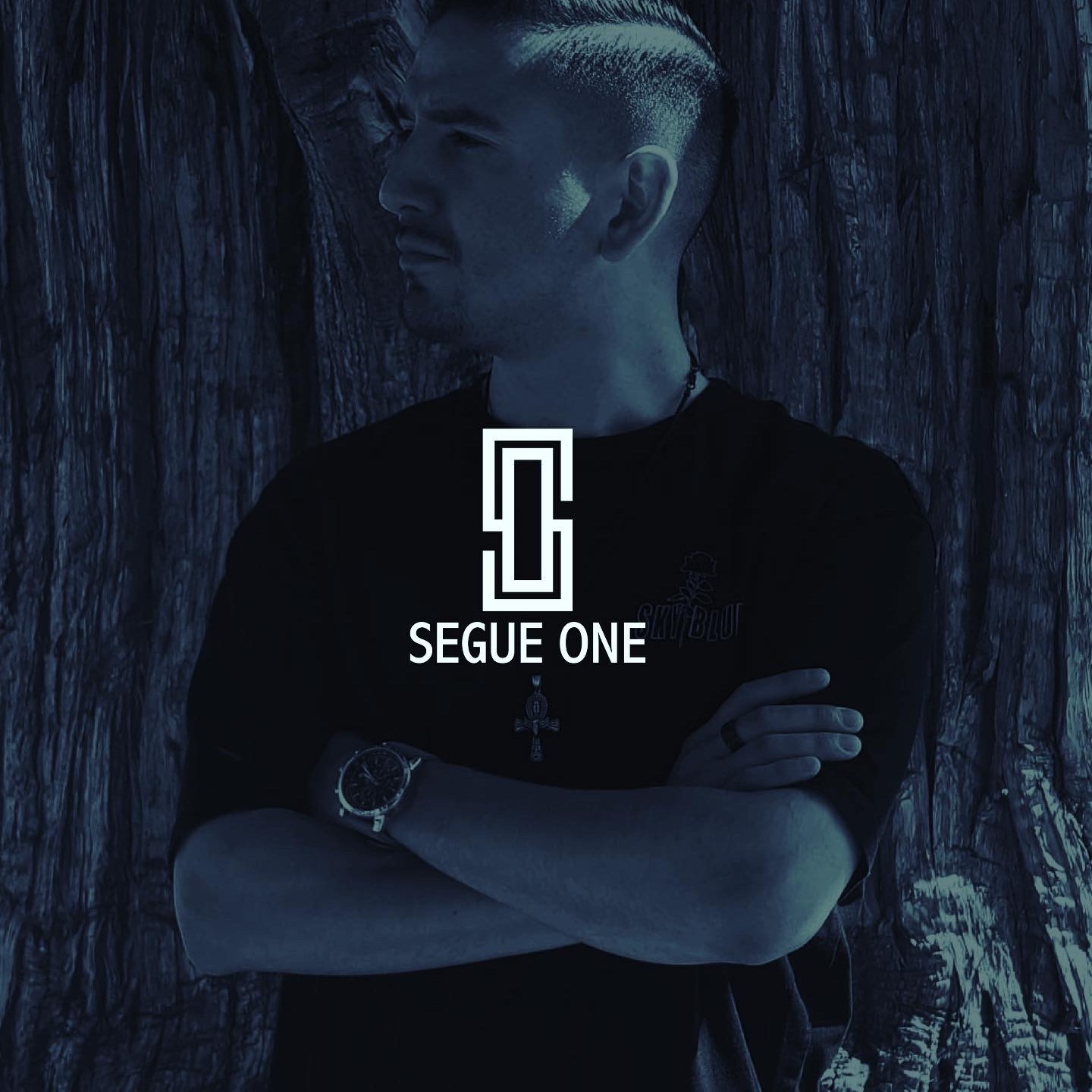 SEGUE ONE · Artist Profile