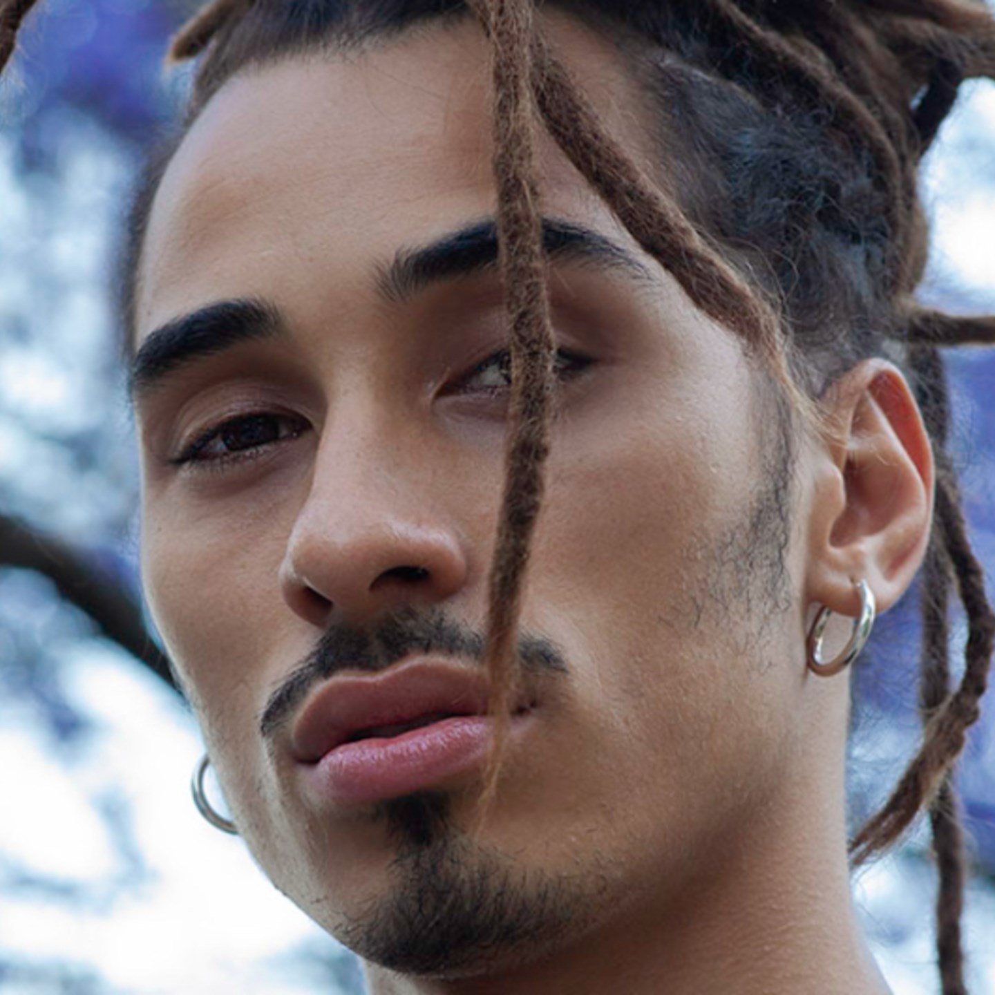 Shaka Lion · Artist Profile