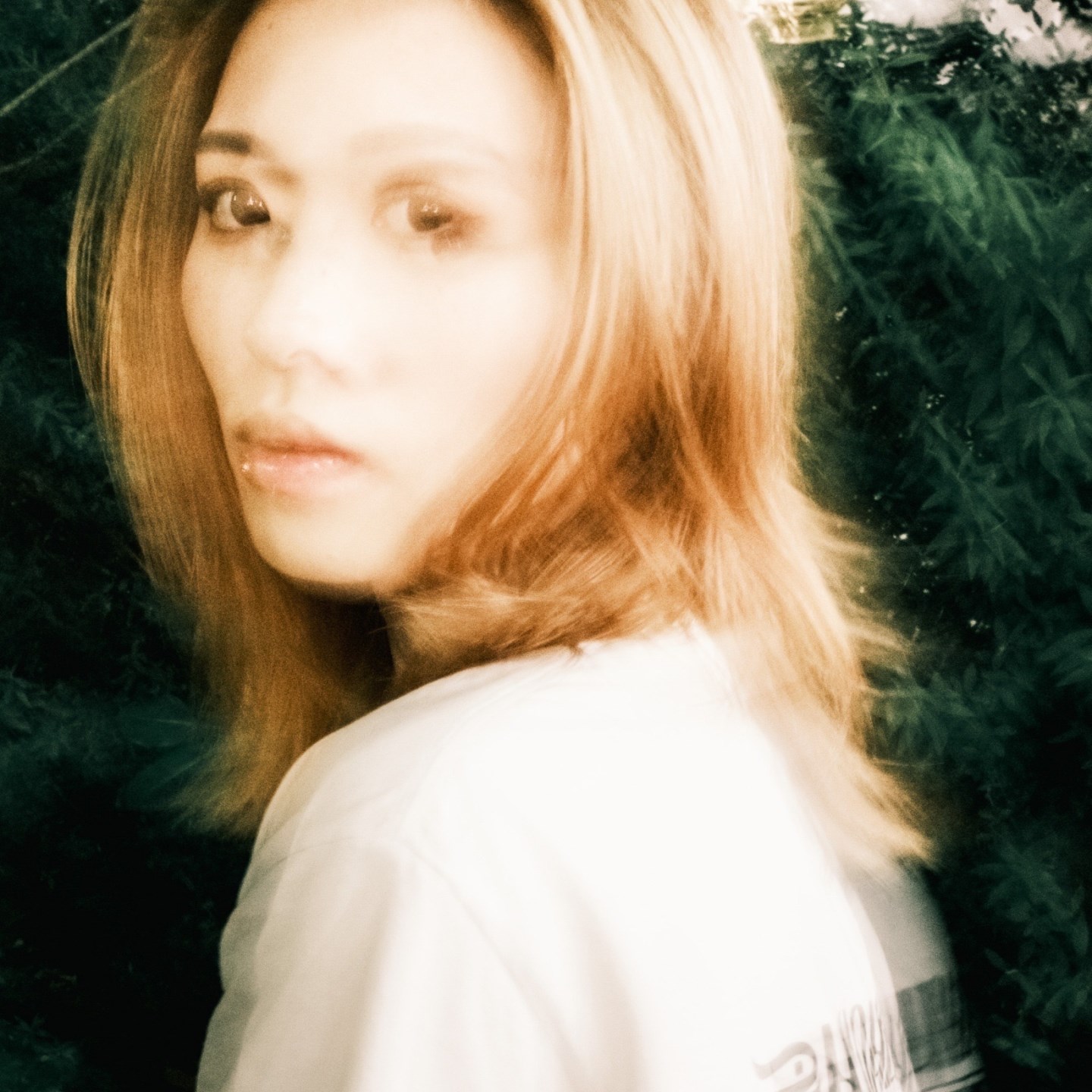 SHELLY (2) · Artist Profile