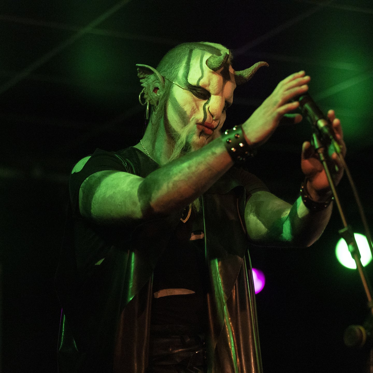 Shrek666 · Artist Profile