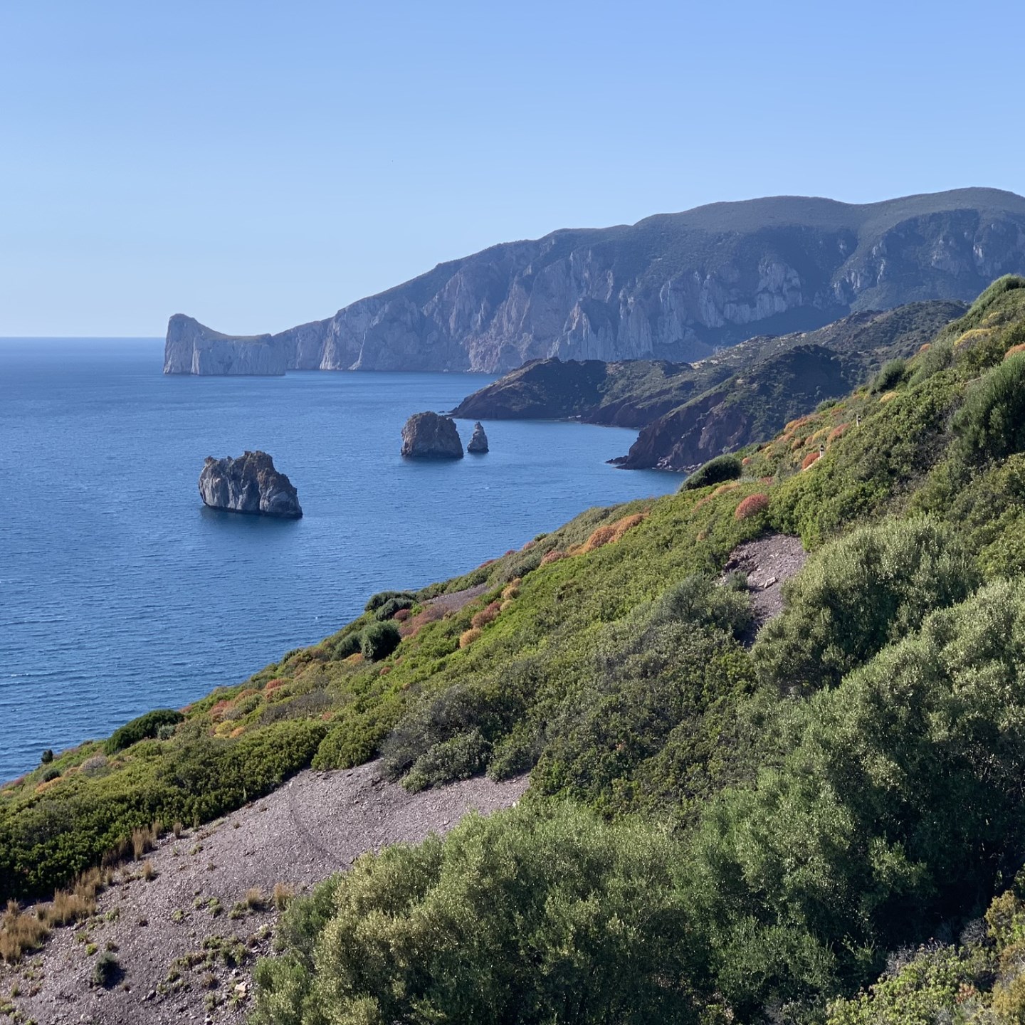 Simon Reed · Artist Profile