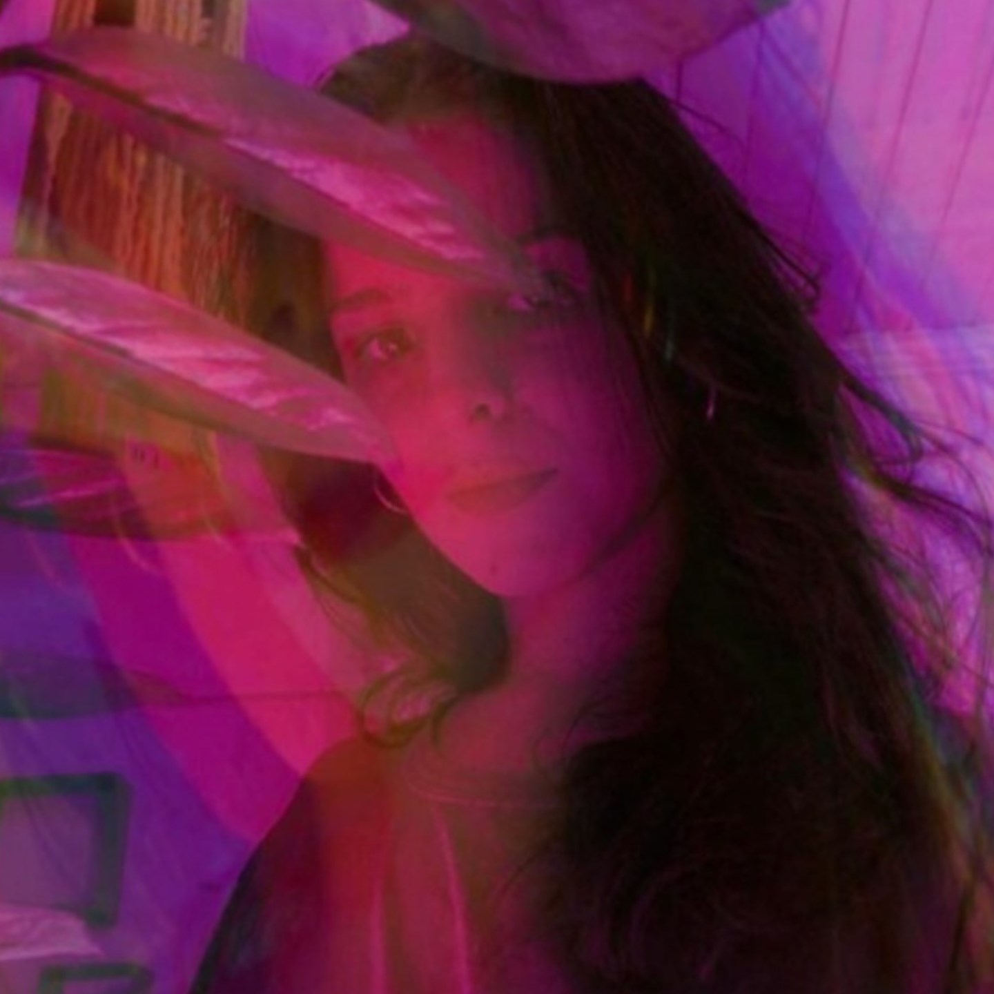 Sofia Gonzales · Artist Profile