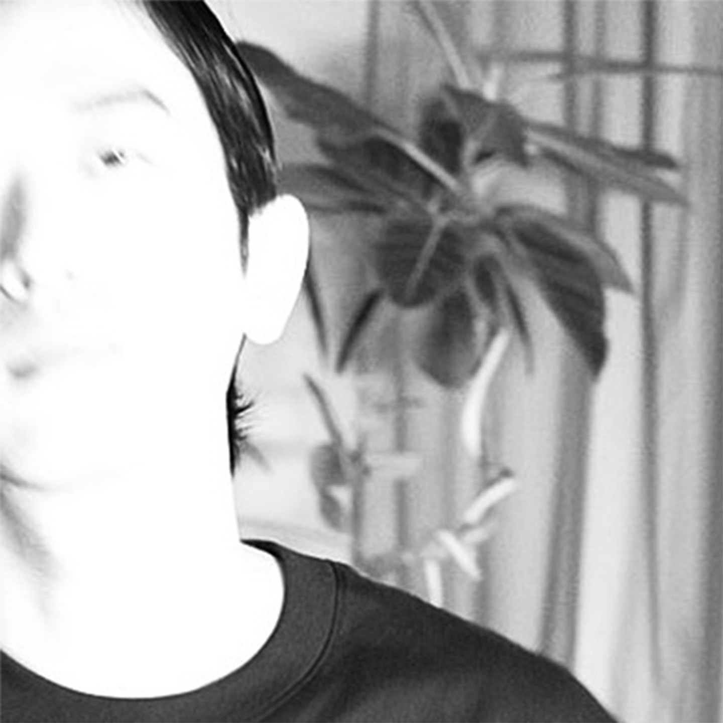 Sonny Sun · Artist Profile