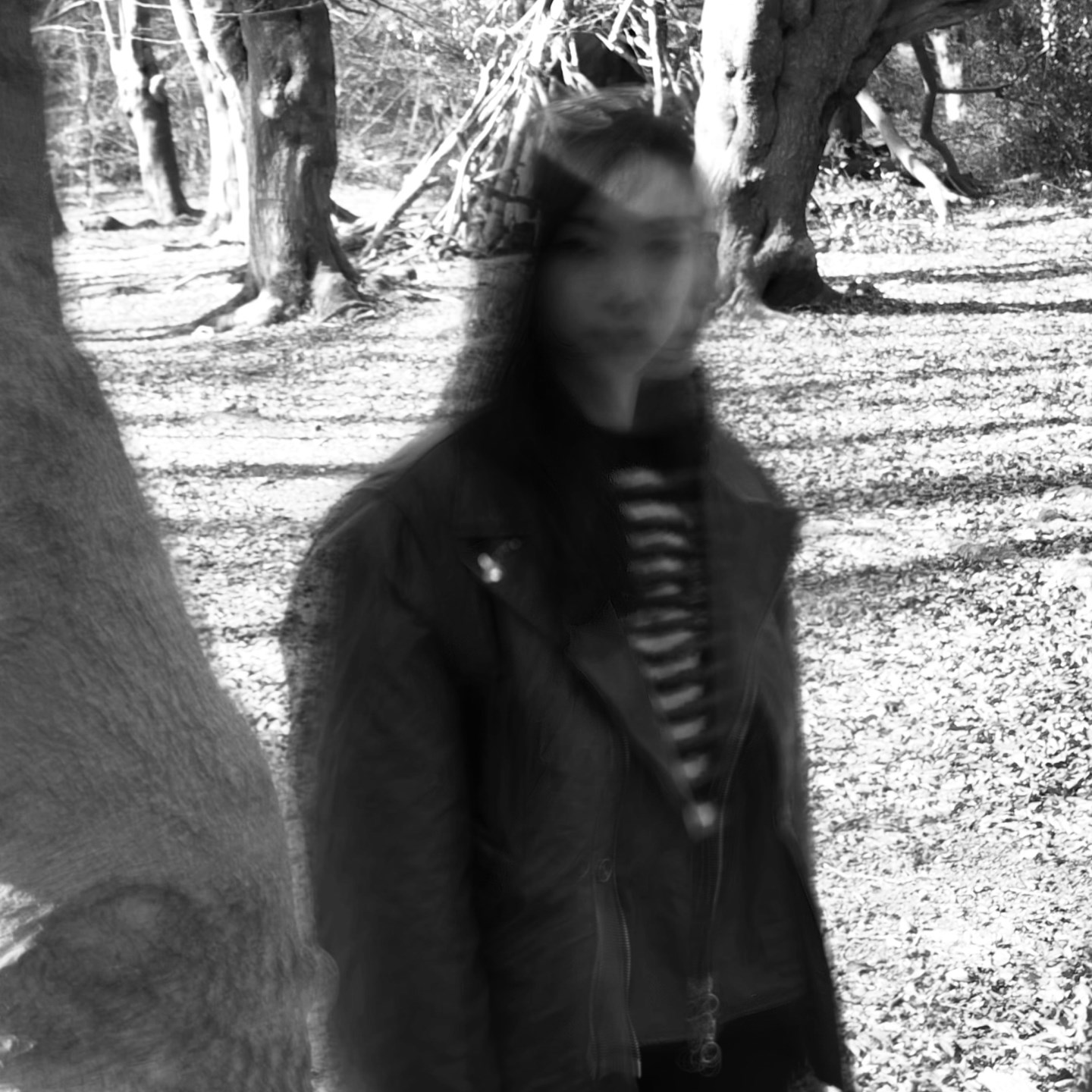 Stella Z · Artist Profile