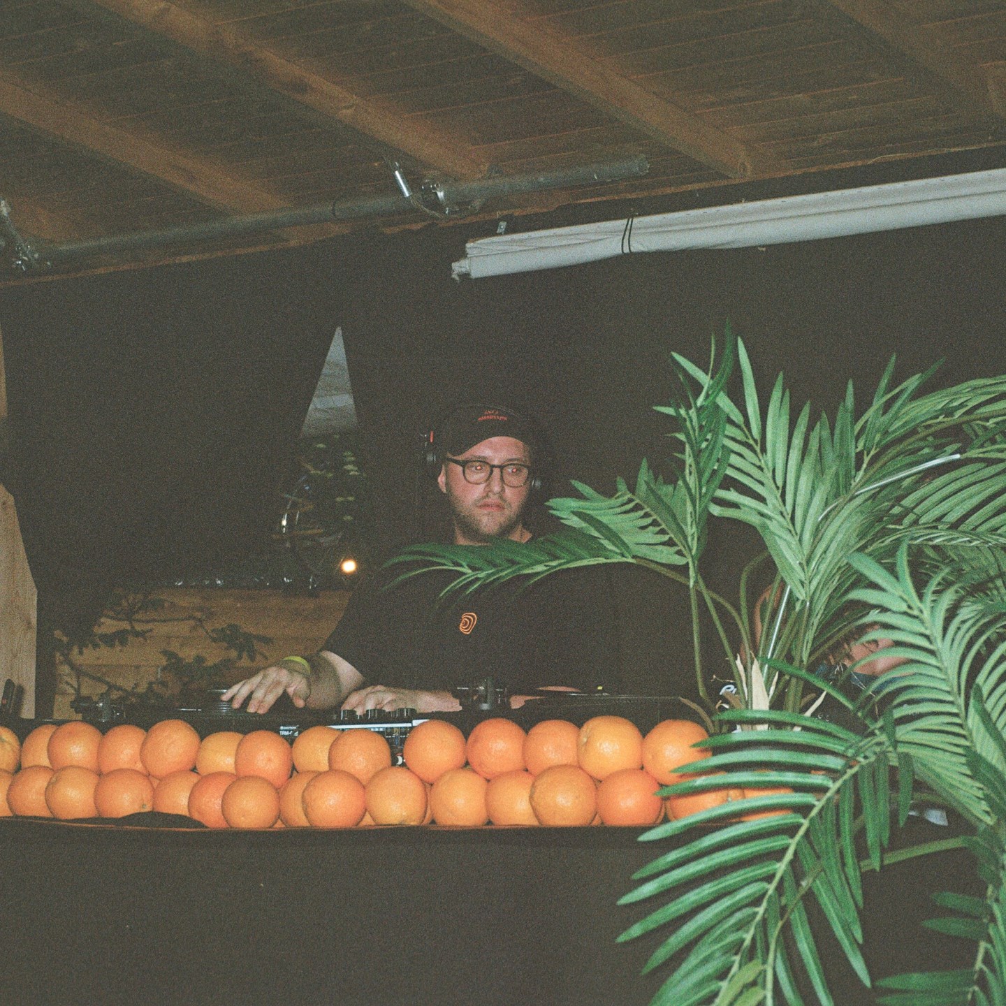 Stipo · Artist Profile