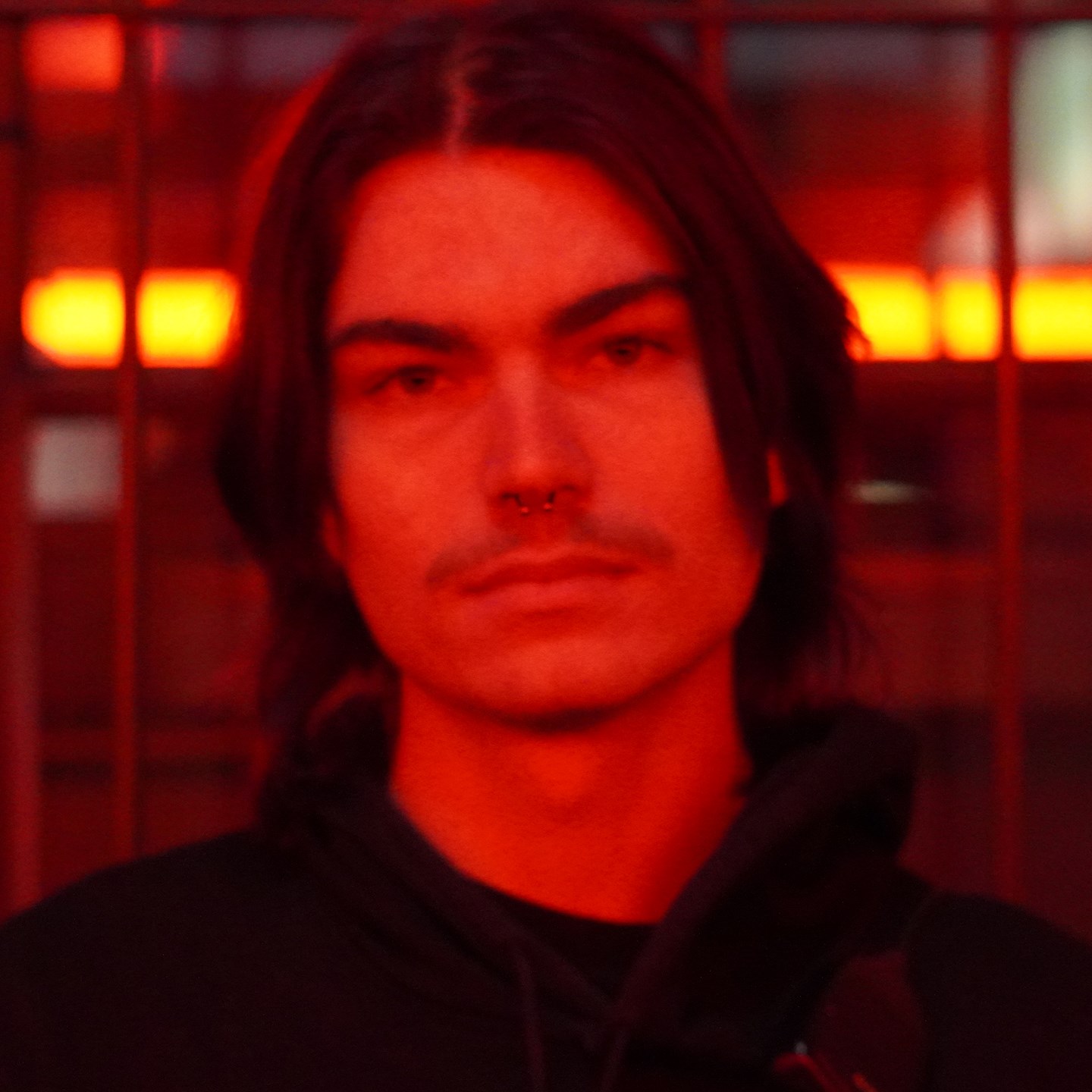 Stutzi · Artist Profile