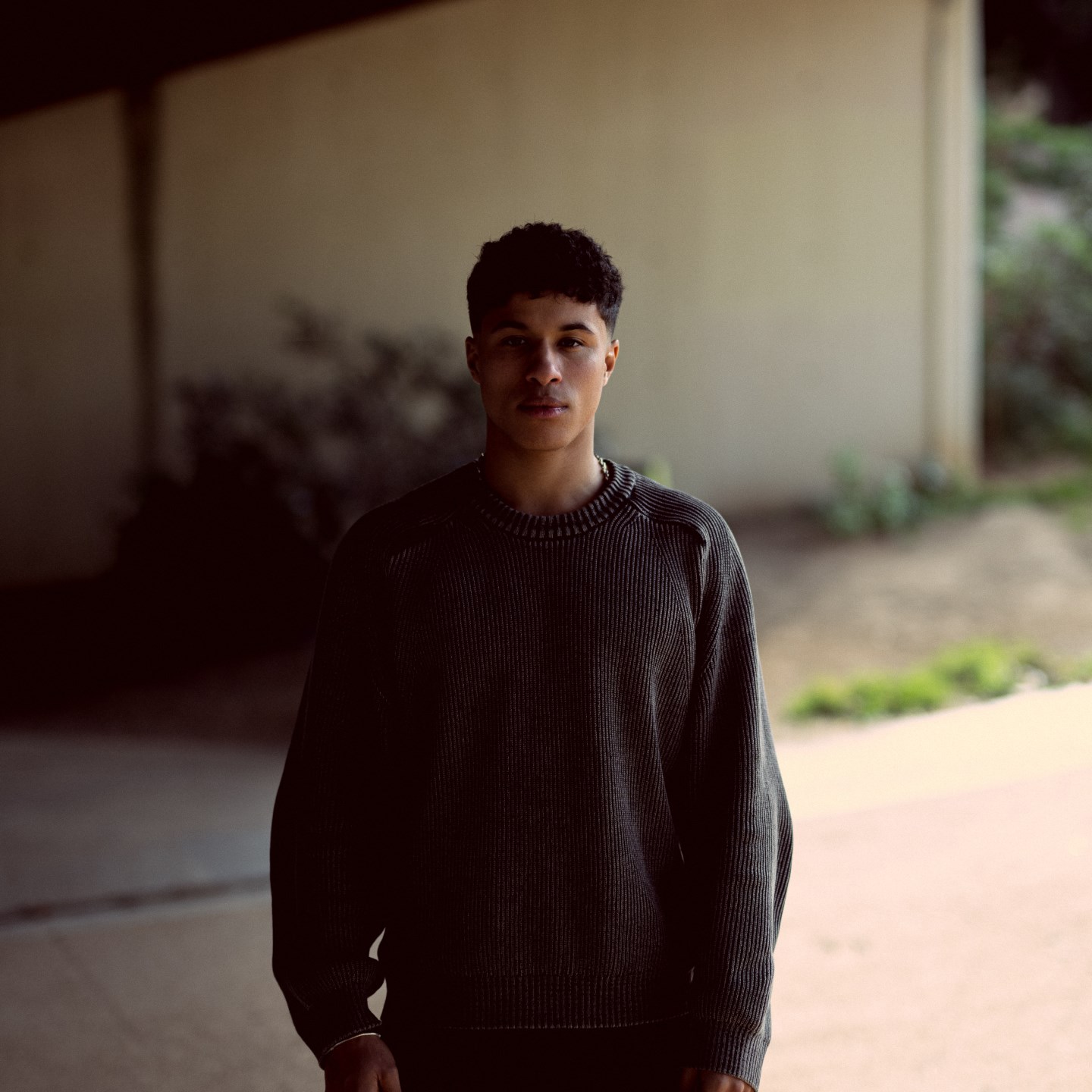 Taha Malki · Artist Profile