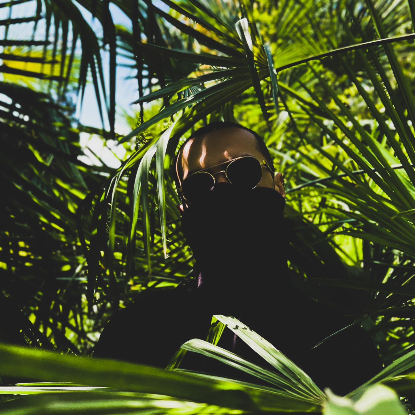 The Alley Cat · Artist Profile