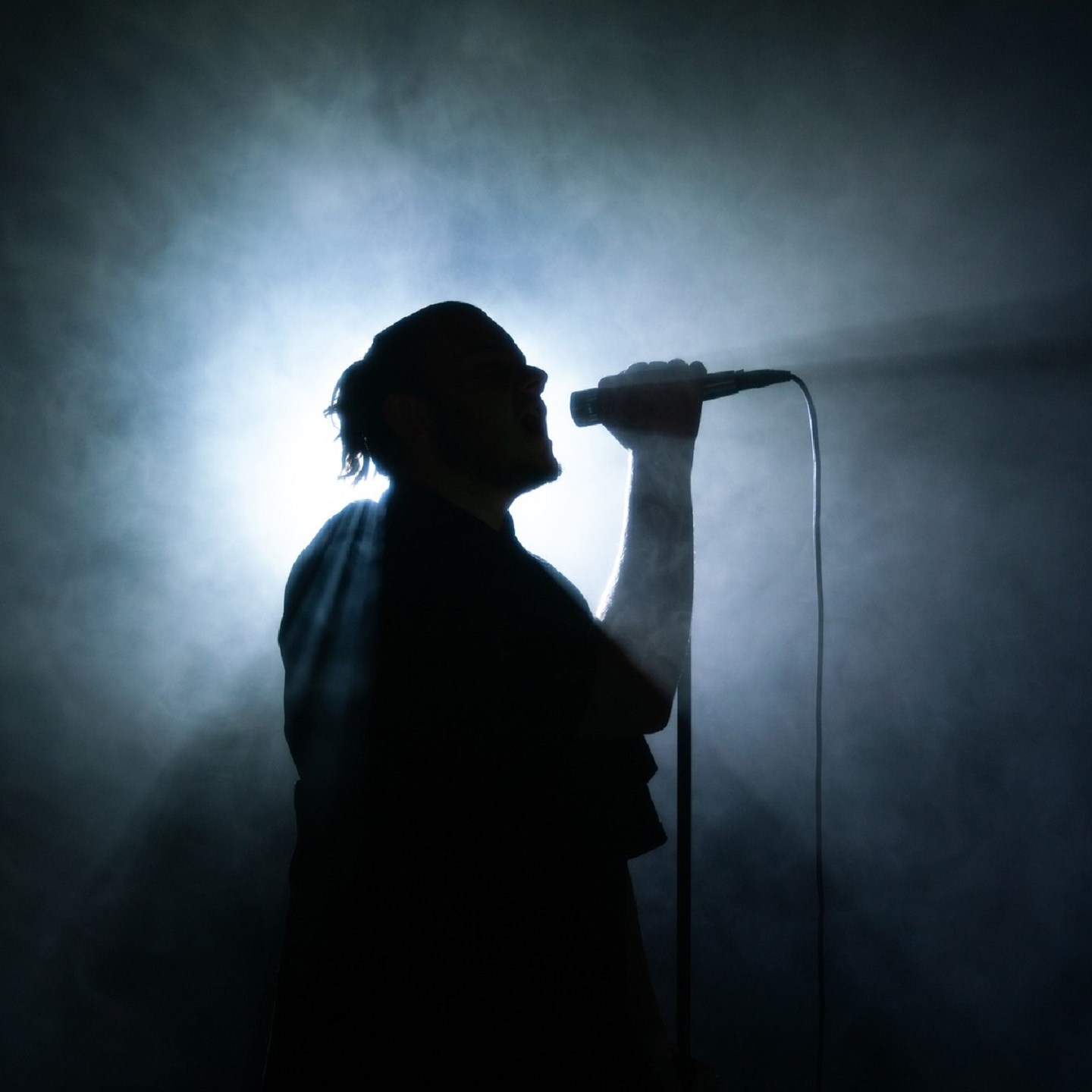 The Caracal Project (FR) · Artist Profile