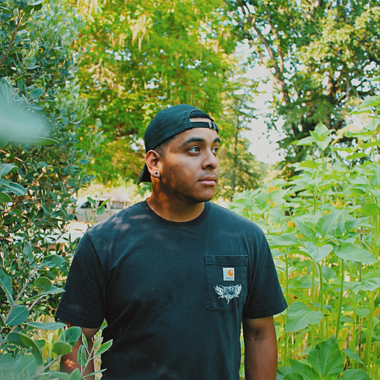 The Scout · Artist Profile