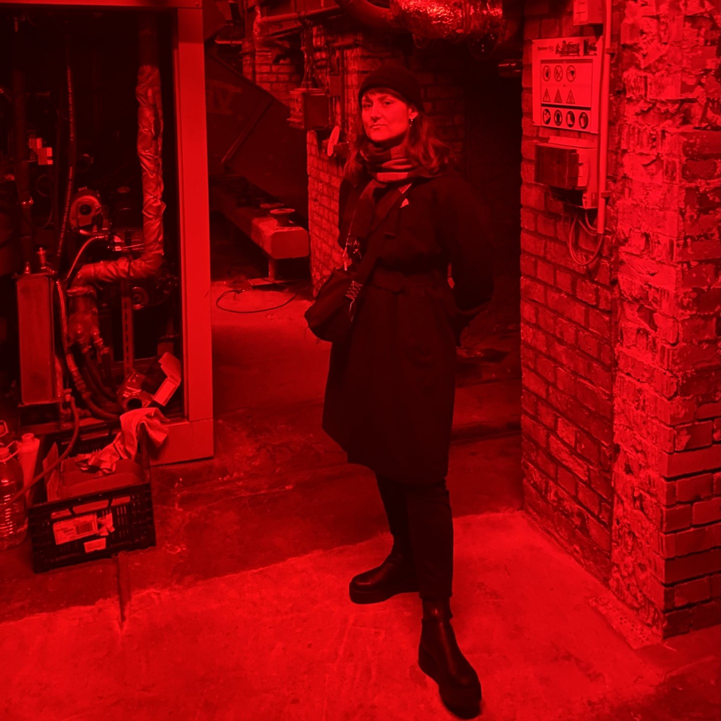 The Slow Brown Fox · Artist Profile