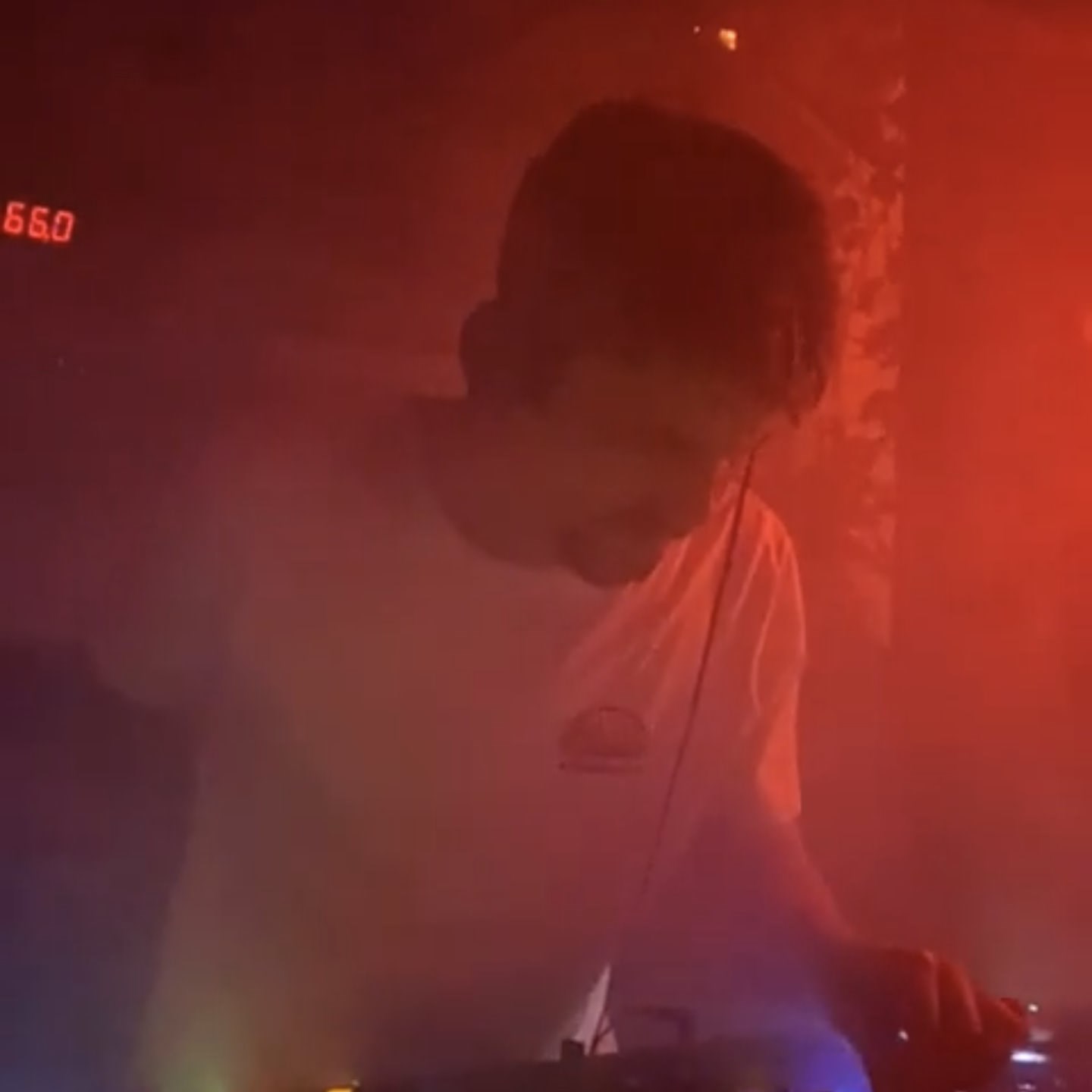 The White Rabbit · Artist Profile