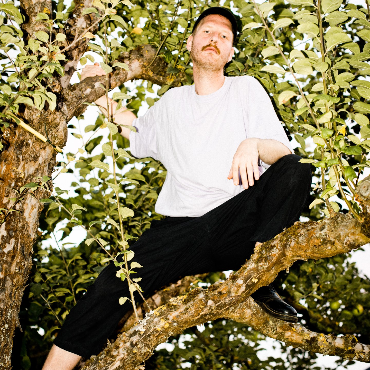 Thomas Bieniek · Artist Profile