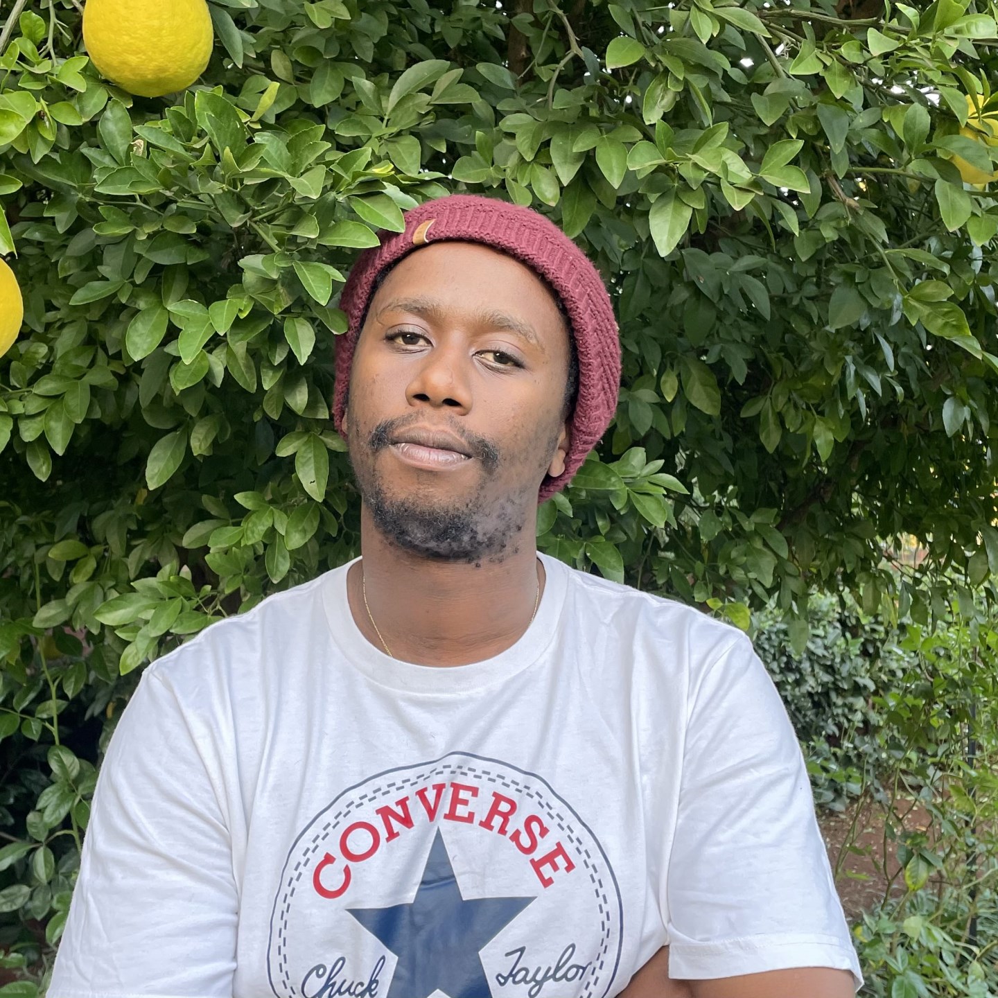 tiro! · Artist Profile