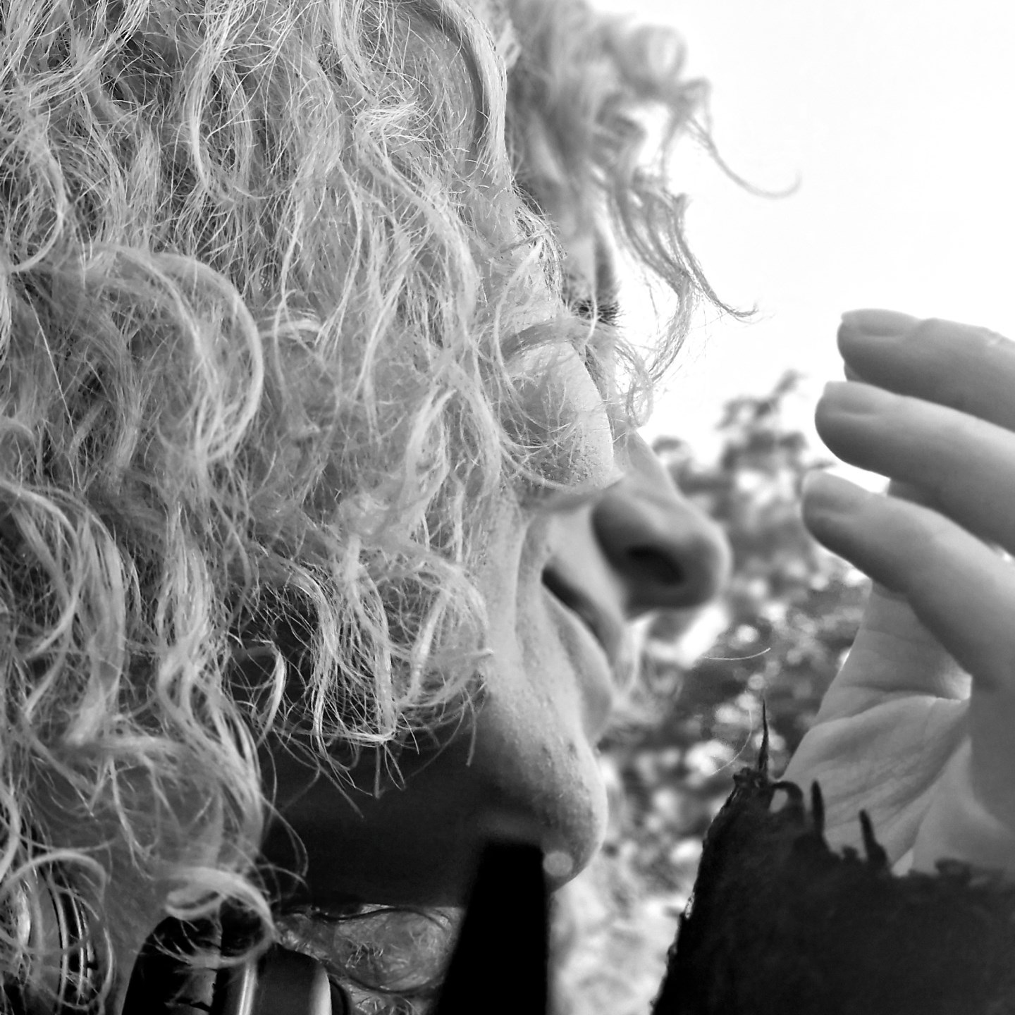 TORIA · Artist Profile