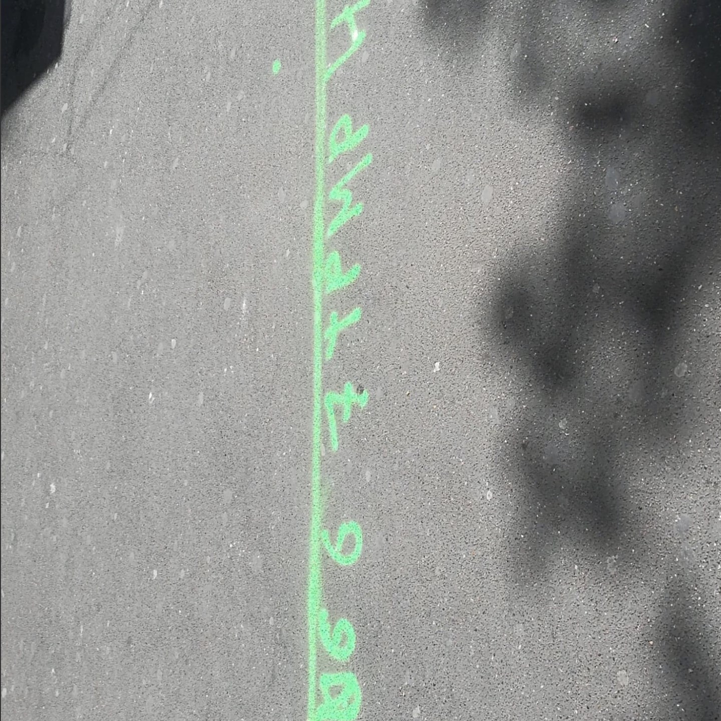 TSIP · Artist Profile