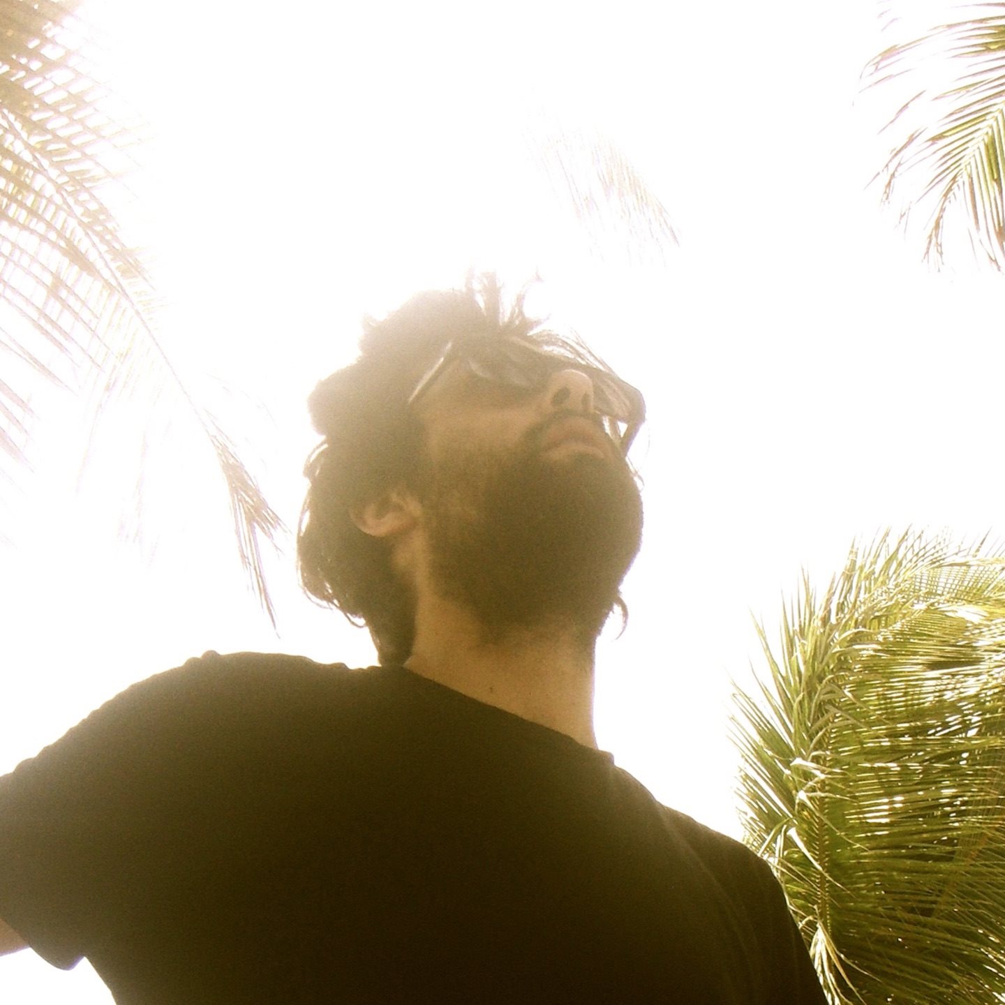 Tyler Friedman · Artist Profile