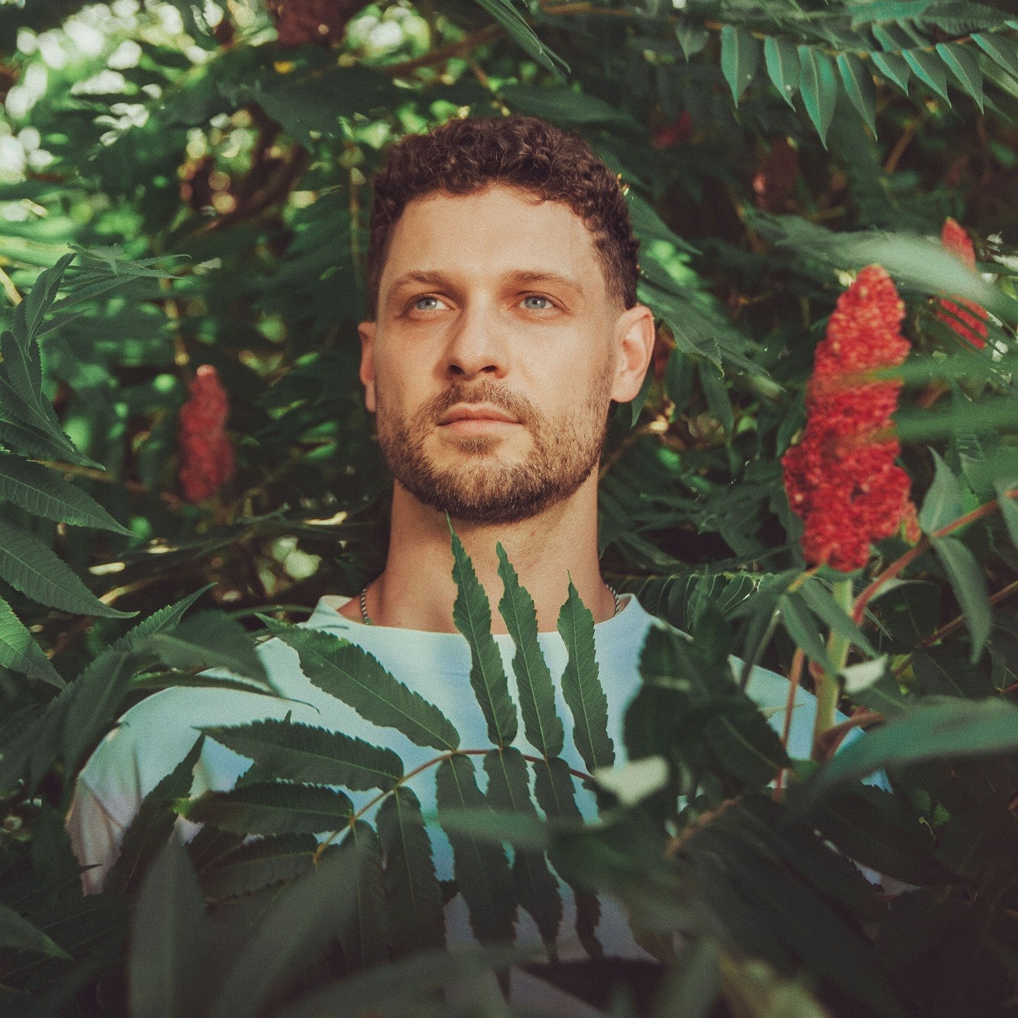 Tyler Mesa · Artist Profile