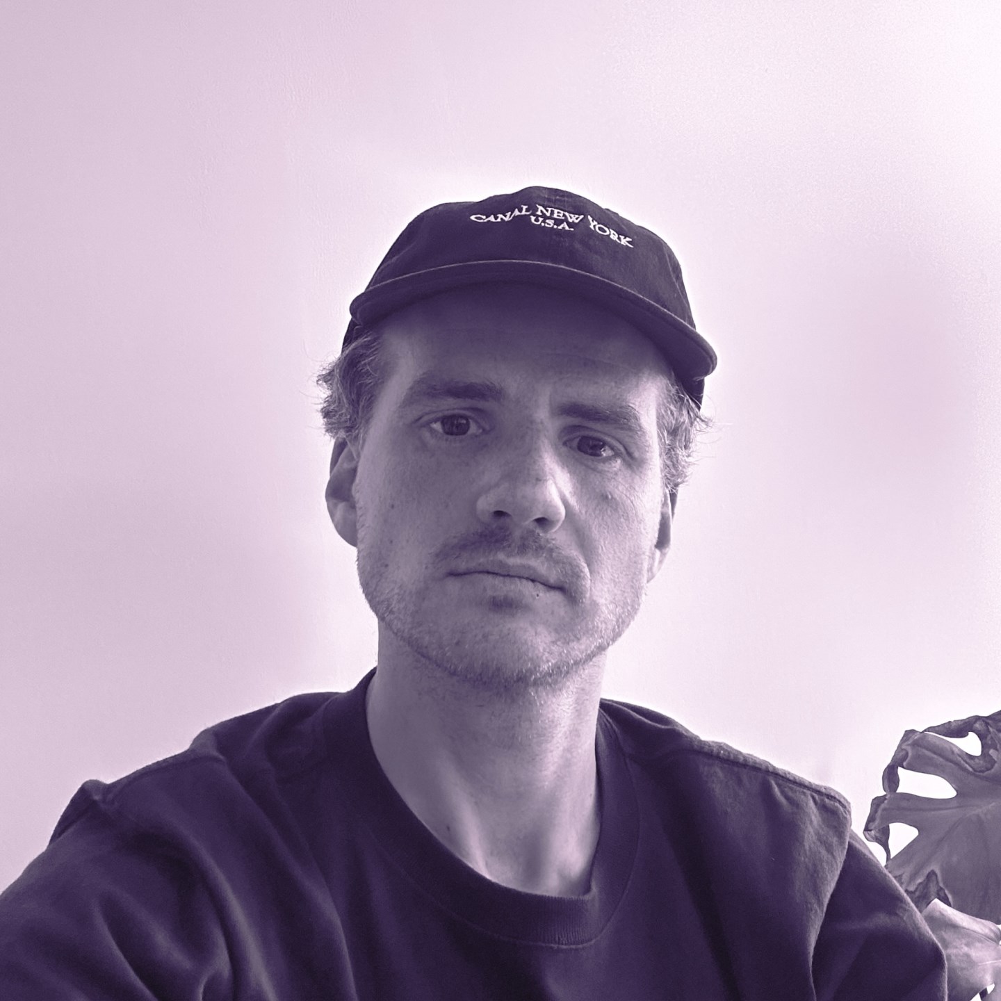 Vasile · Artist Profile