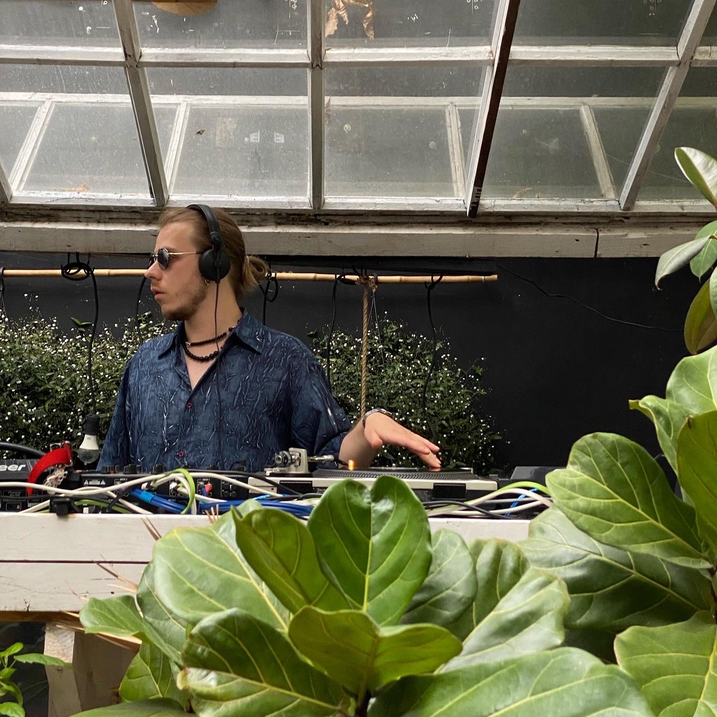 Venia · Artist Profile