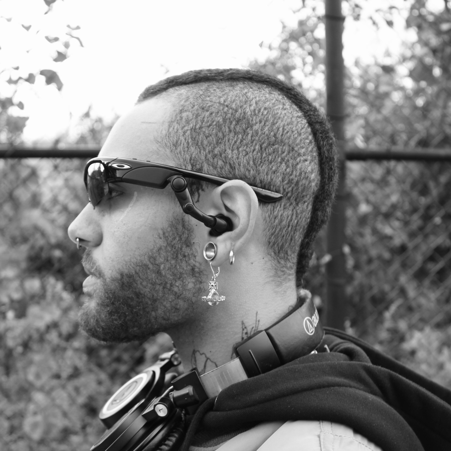 verdigris · Artist Profile