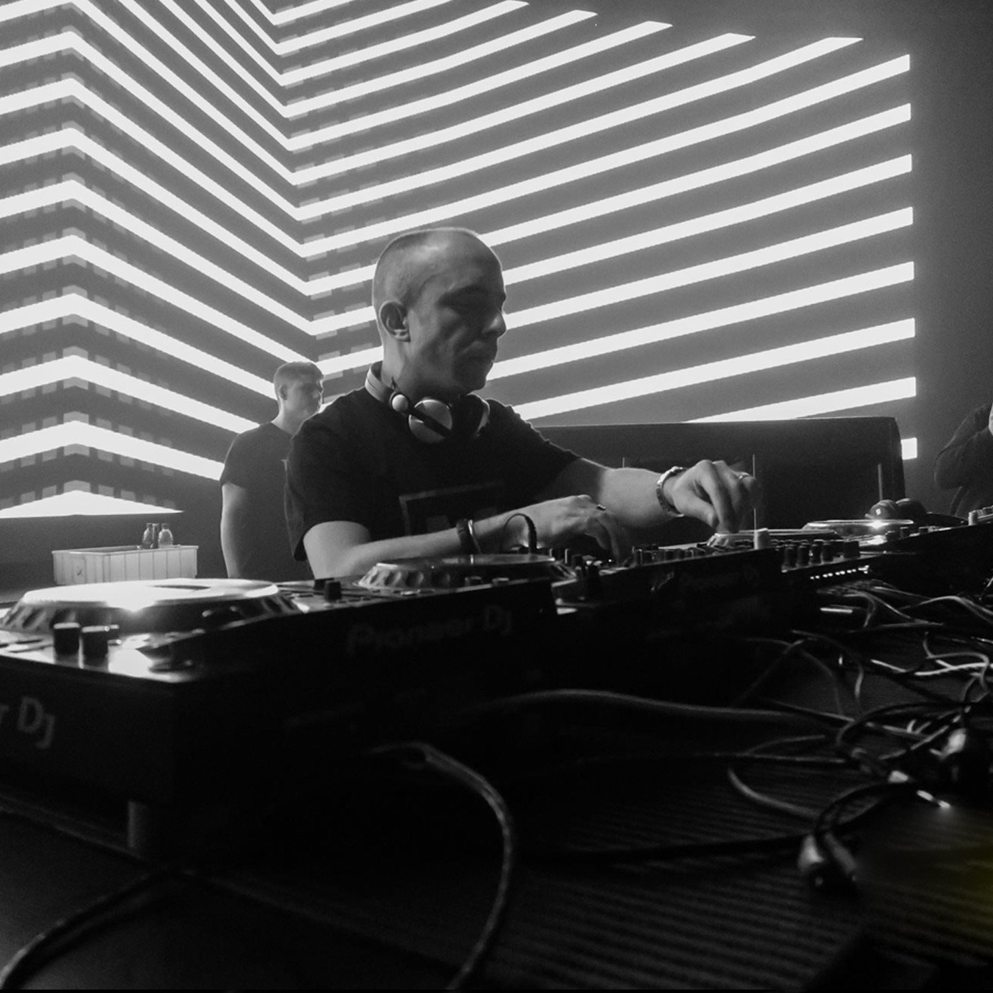 WERC · Artist Profile