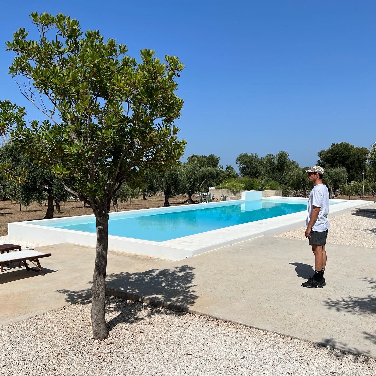 Will Cario · Artist Profile