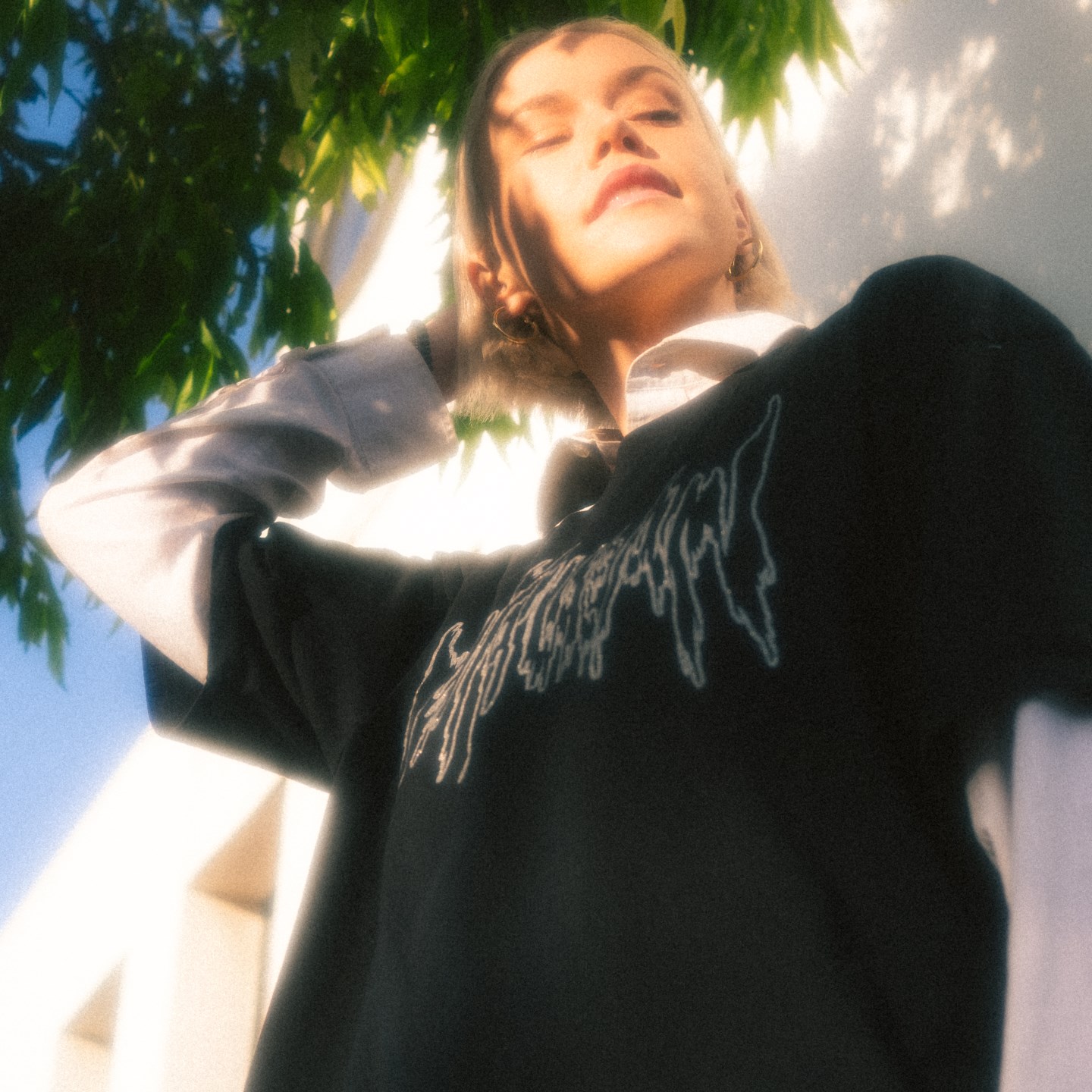 Willo · Artist Profile