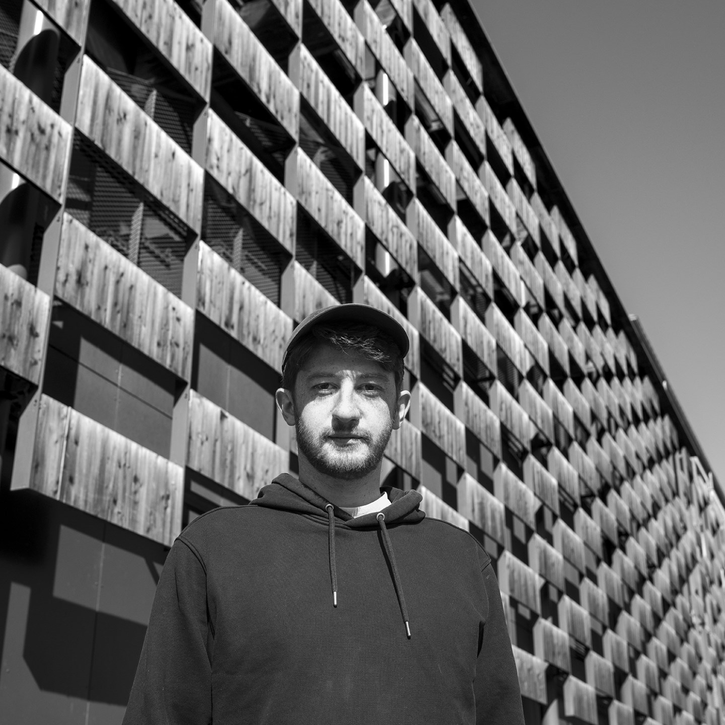 wilt · Artist Profile