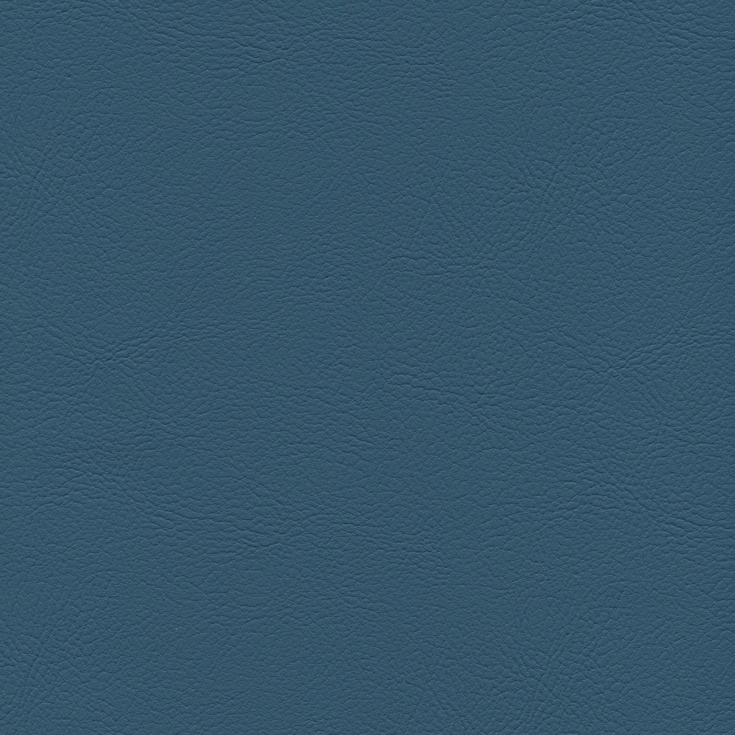 Wrng Pattern · Artist Profile