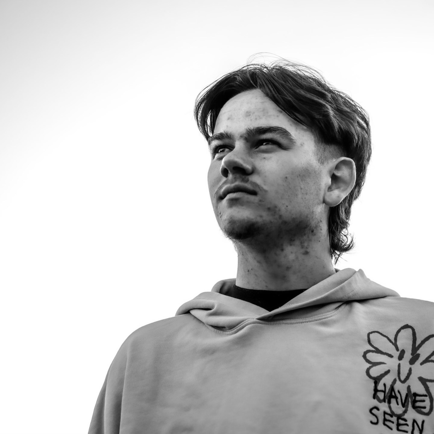 WSL (1) · Artist Profile